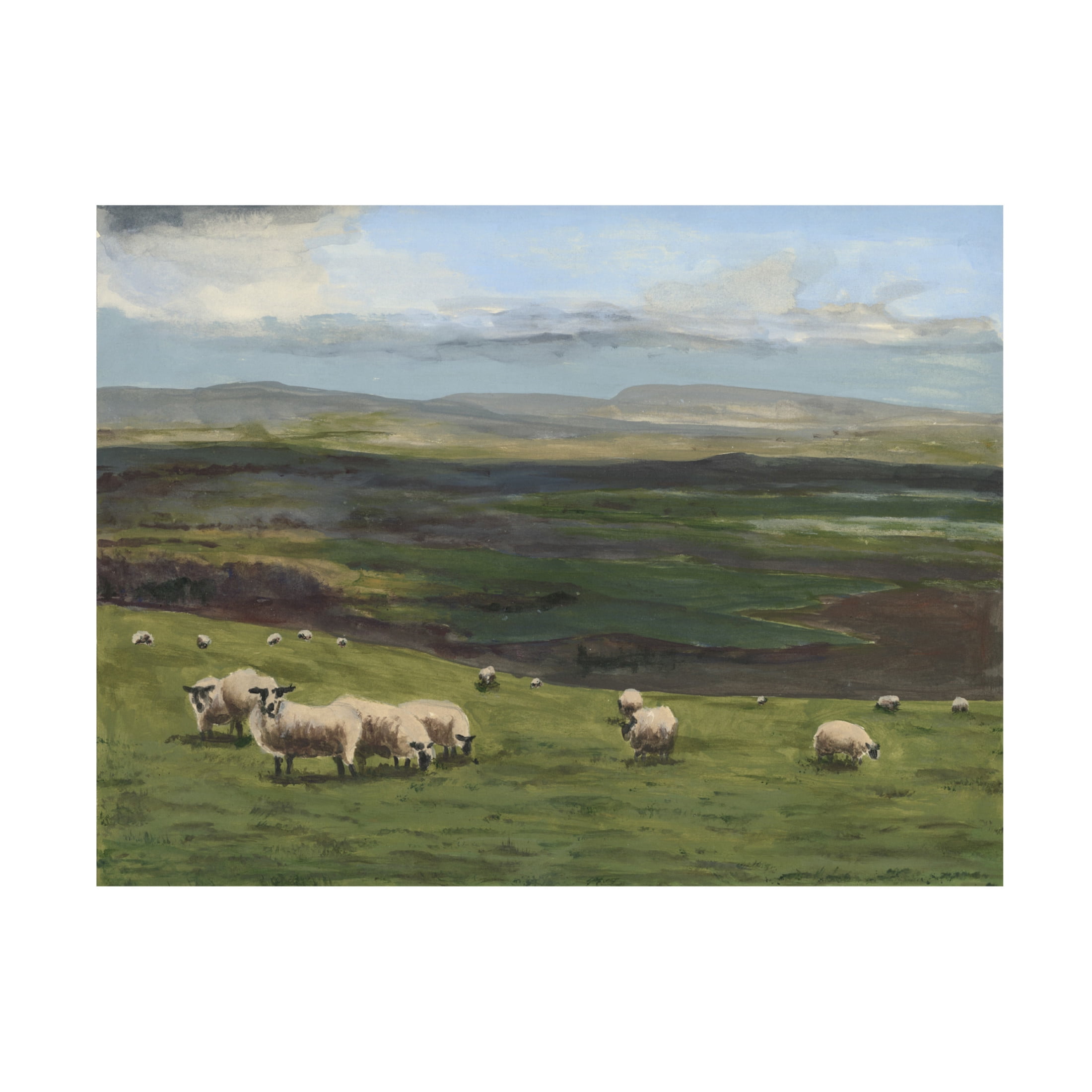 Trademark Art Michael Willett Highland Sheep Canvas Wall Art - Walmart.com