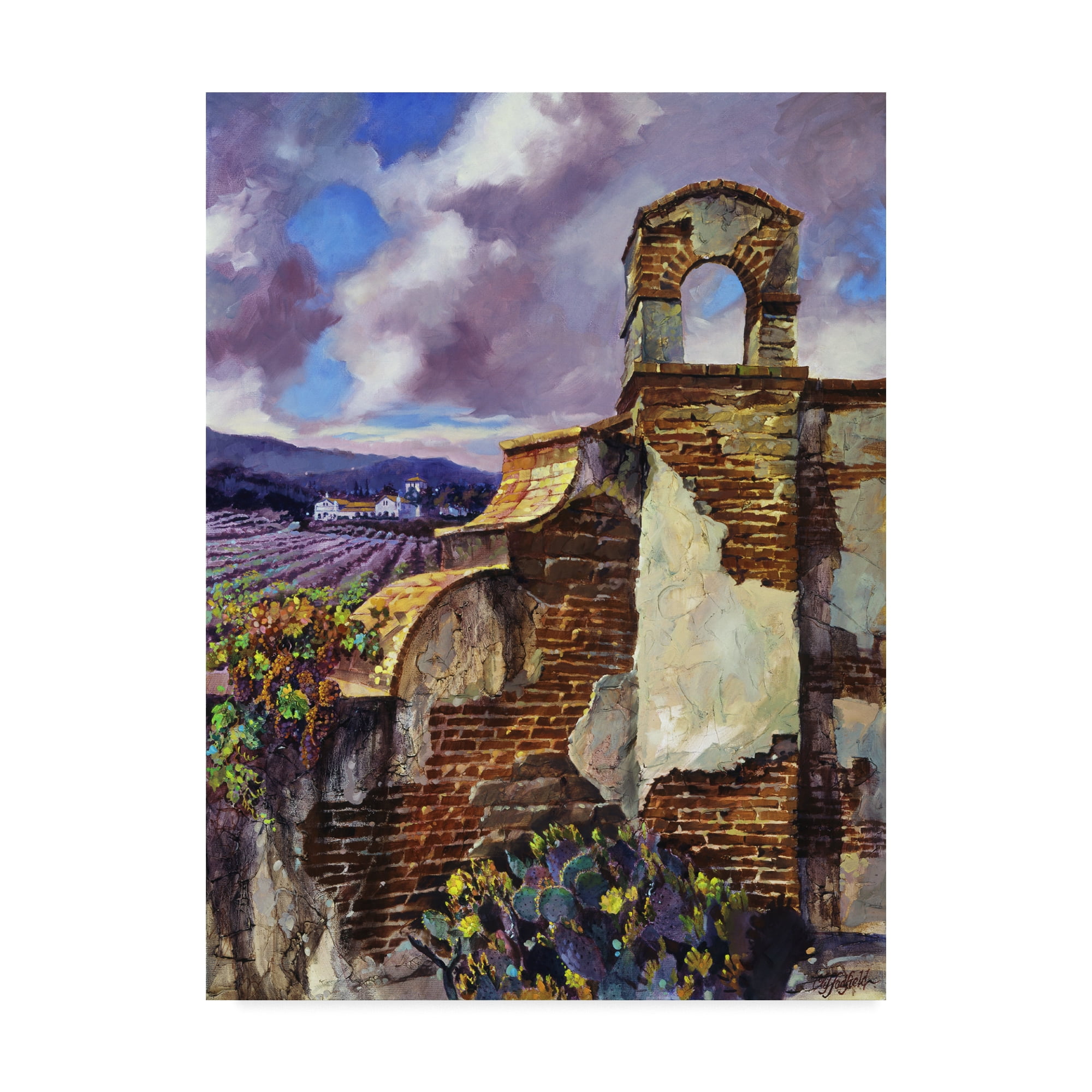 Trademark Fine Art 'Mission Vineyard' Canvas Art by Clif Hadfield ...
