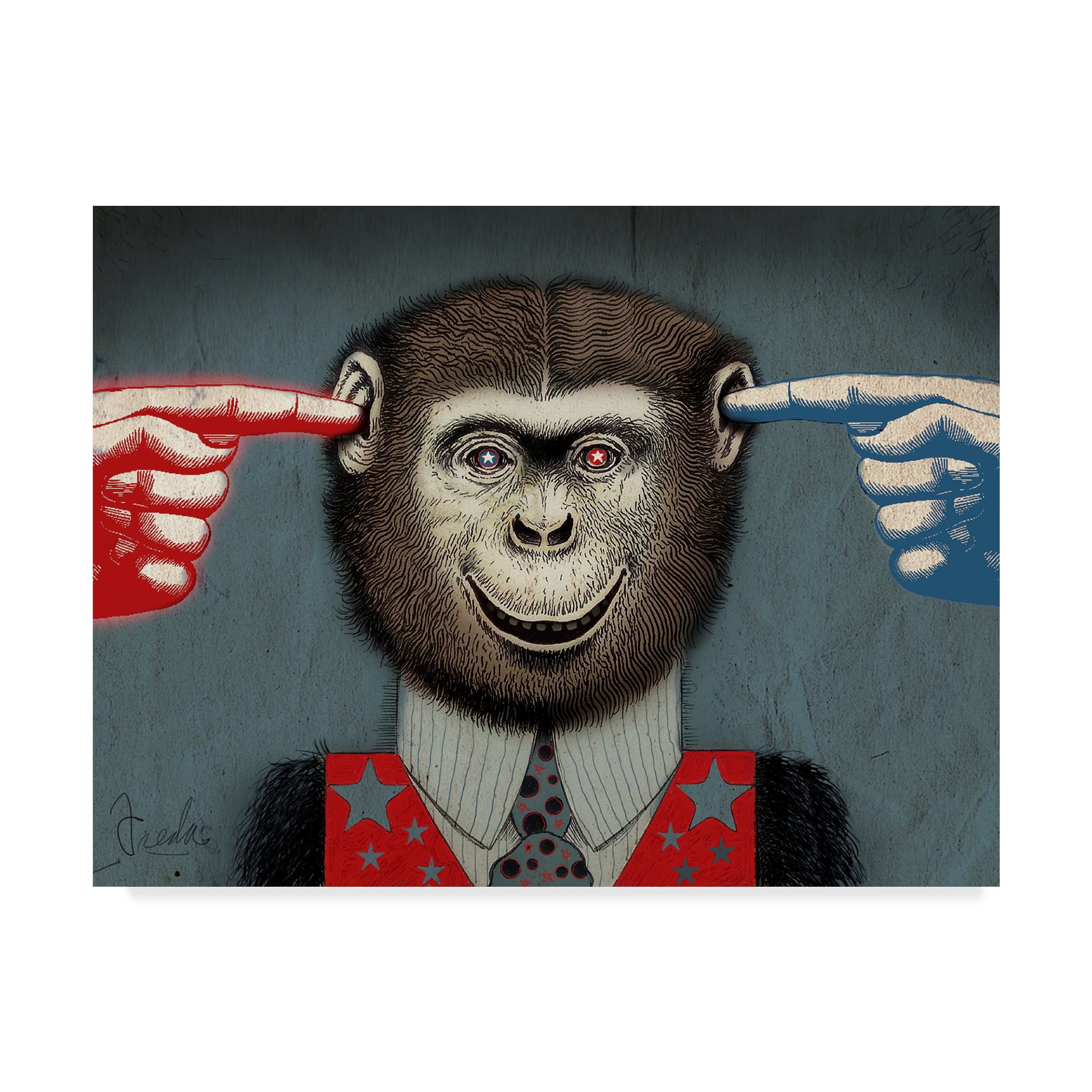 Free Shipping! Trademark Fine Art Monkey Fool Canvas Art by Anthony ...