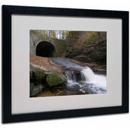 Trademark Fine Art "Lehua" Canvas Art by Monica Fleet, White Matte ...