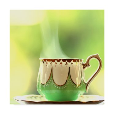 Trademark Fine Art 'Rowan Tea' Canvas Art by Oxana Ziaka - Walmart.com