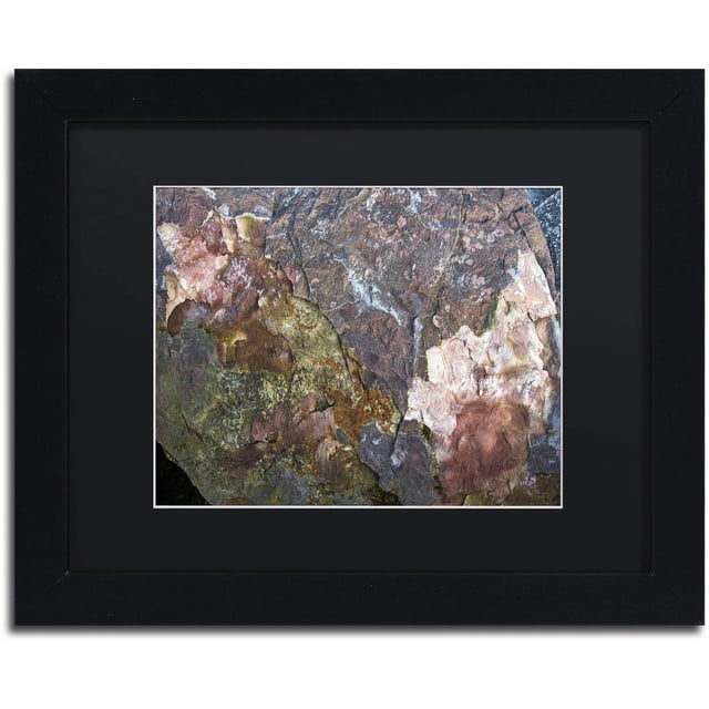 Trademark Fine Art "Natural Abstract" Canvas Art by Kurt Shaffer, Black ...