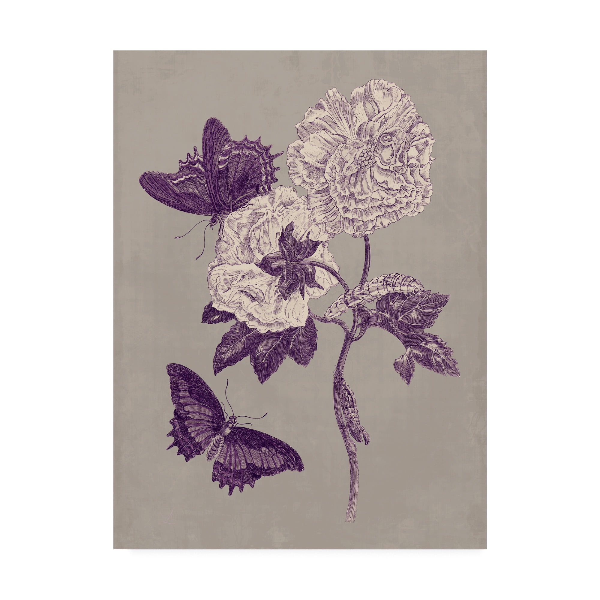 Trademark Fine Art 'Nature Study in Plum & Taupe IV' Canvas Art by ...