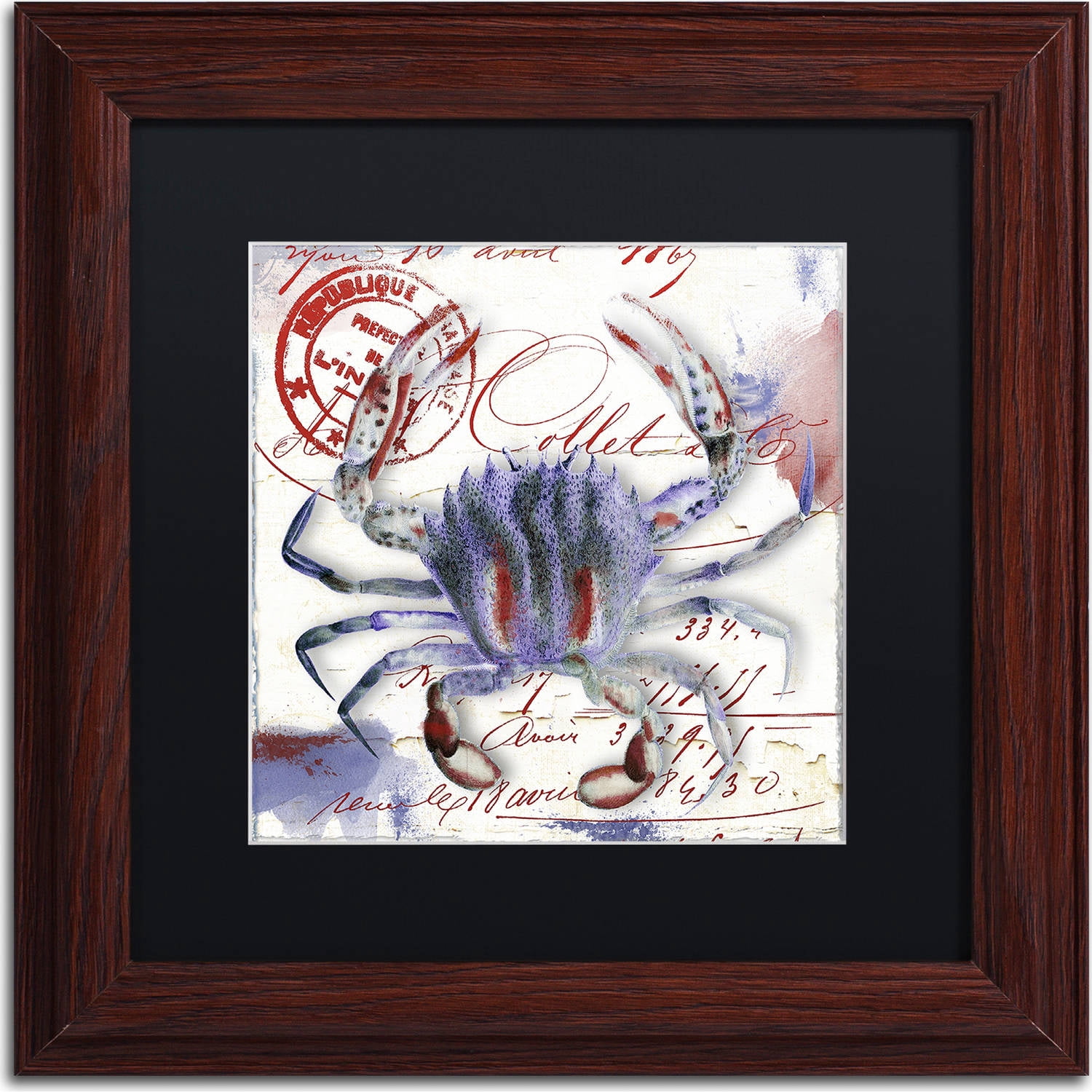 Trademark Fine Art "Oceania II" Canvas Art by Color Bakery, Black Matte ...