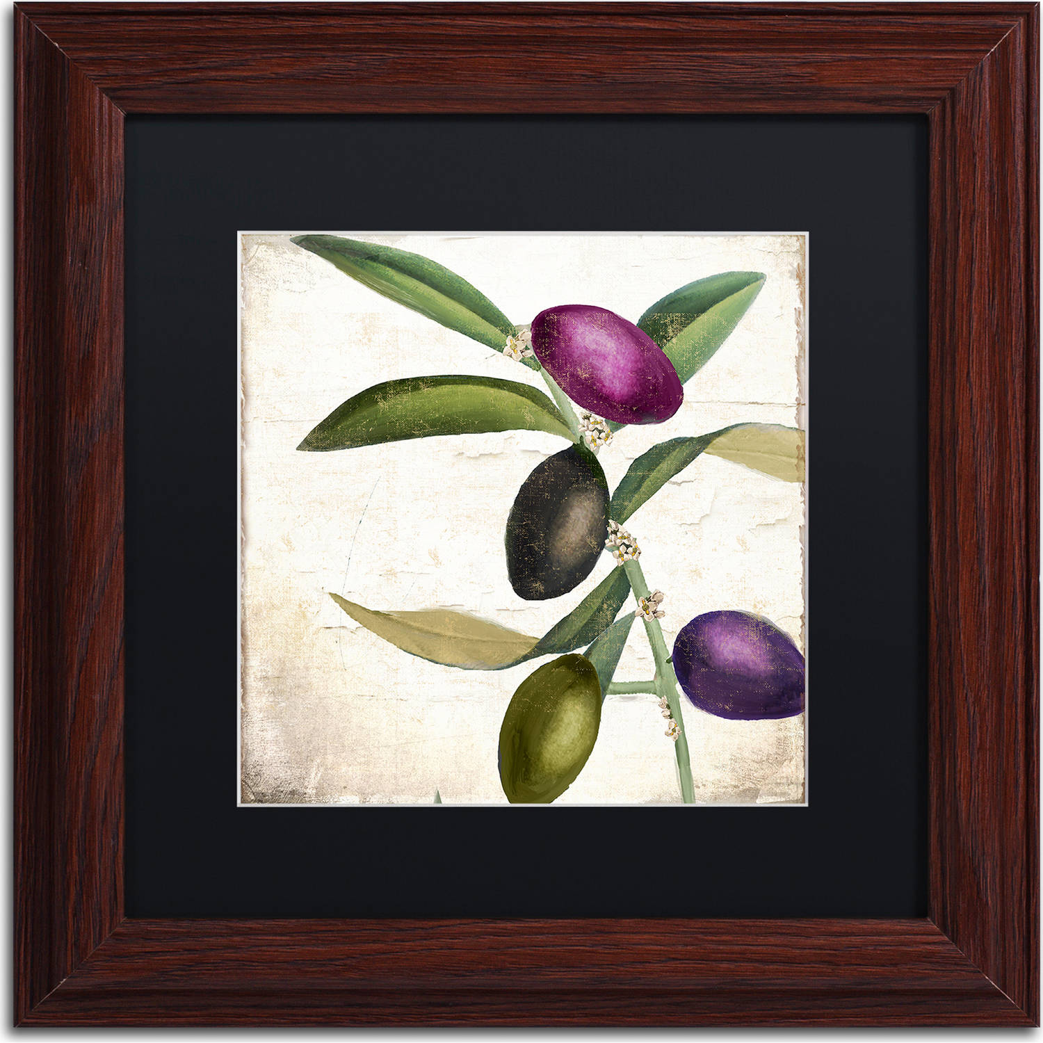 Free Shipping! Trademark Fine Art Olive Branch II Canvas Art by Color ...