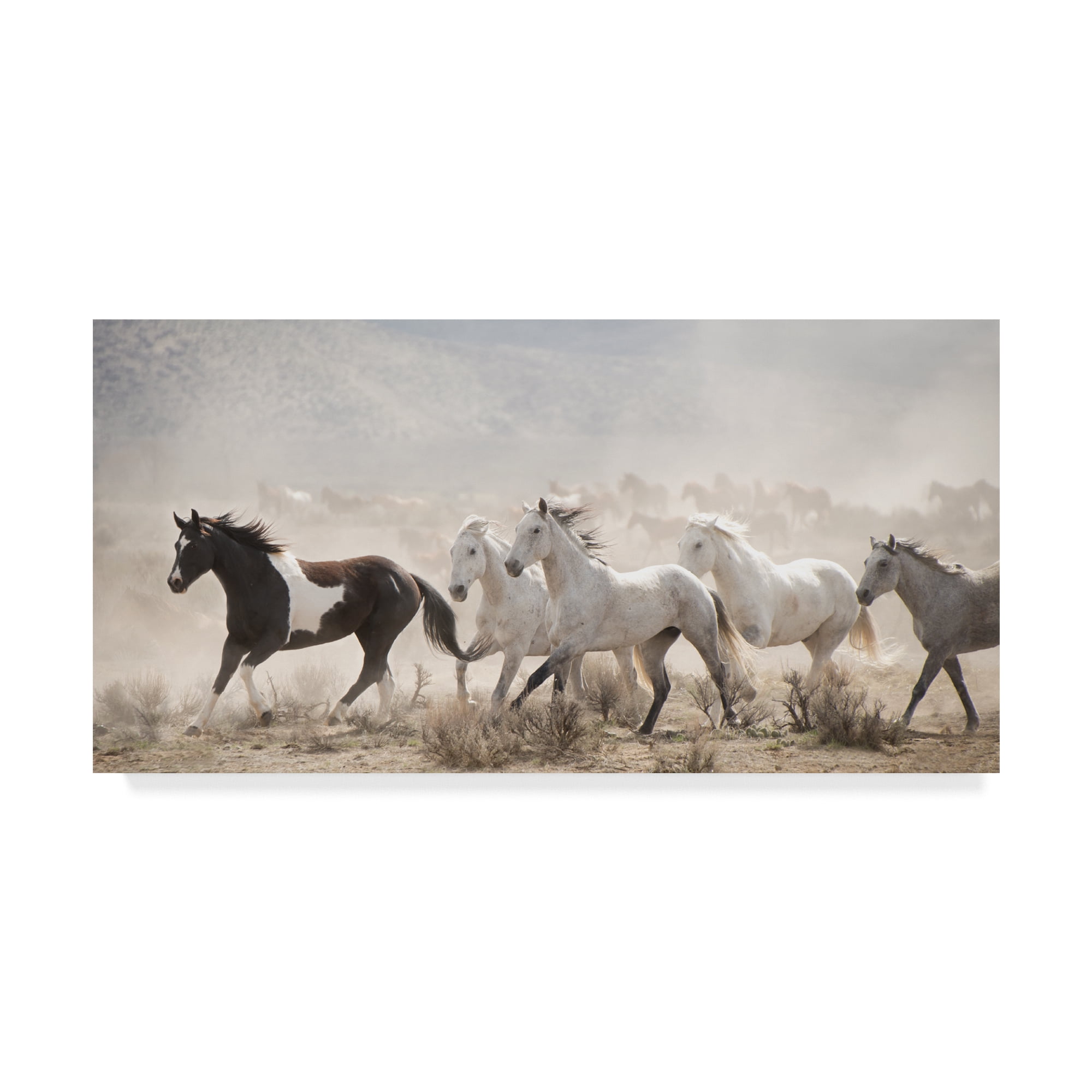 Trademark Fine Art 'Open Range' Canvas Art by PHBurchett - Walmart.com