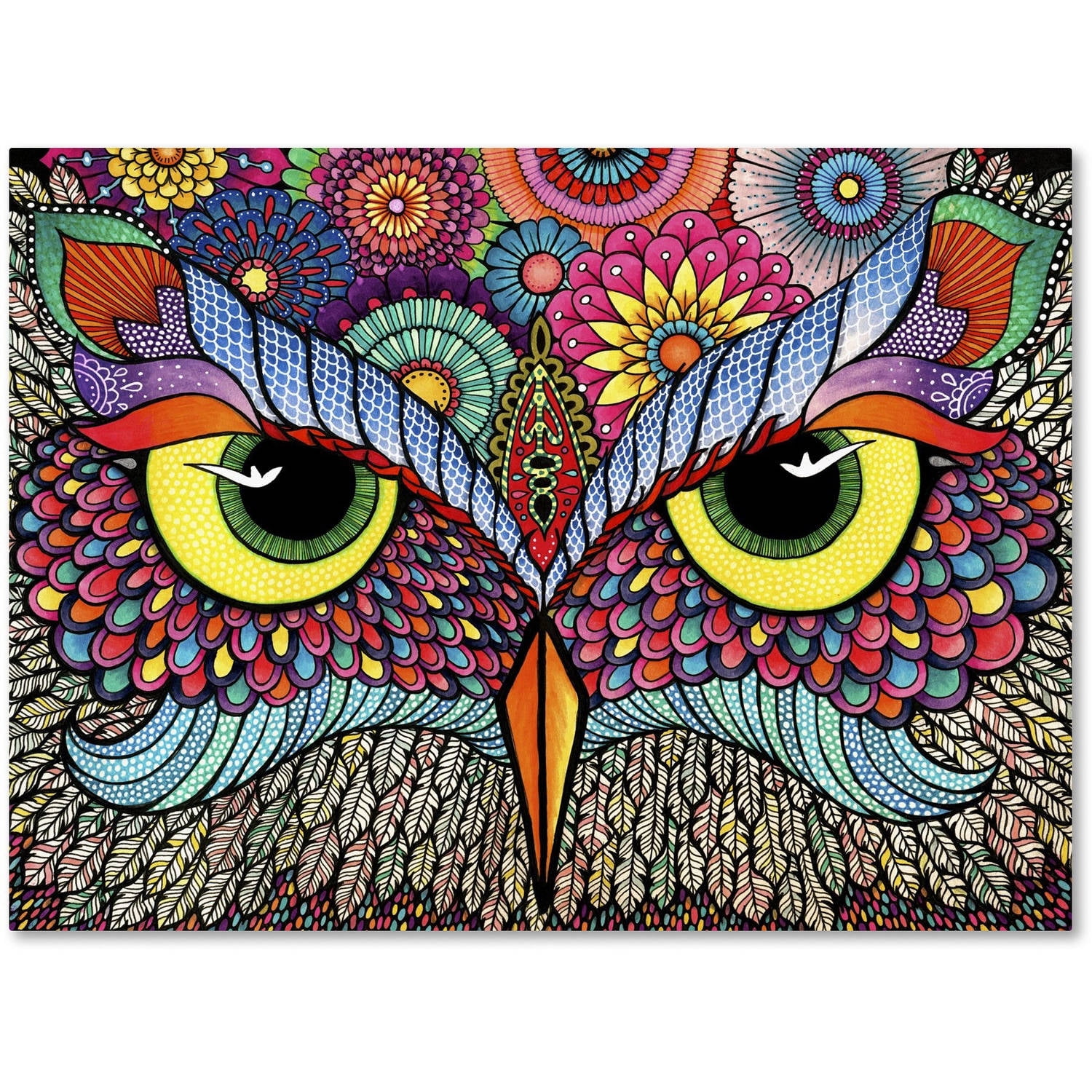 Trademark Fine Art "Owl Face" Canvas Art by Hello Angel - Walmart.com