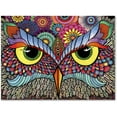 Trademark Fine Art "Owl Face" Canvas Art by Hello Angel - Walmart.com