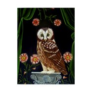Trademark Fine Art 'Barred Owl White' Canvas Art by Amy Frank - Walmart.com