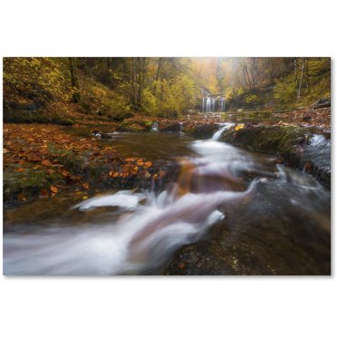 Trademark Fine Art "Double Rainbow" Canvas Art by Mathieu Rivrin ...