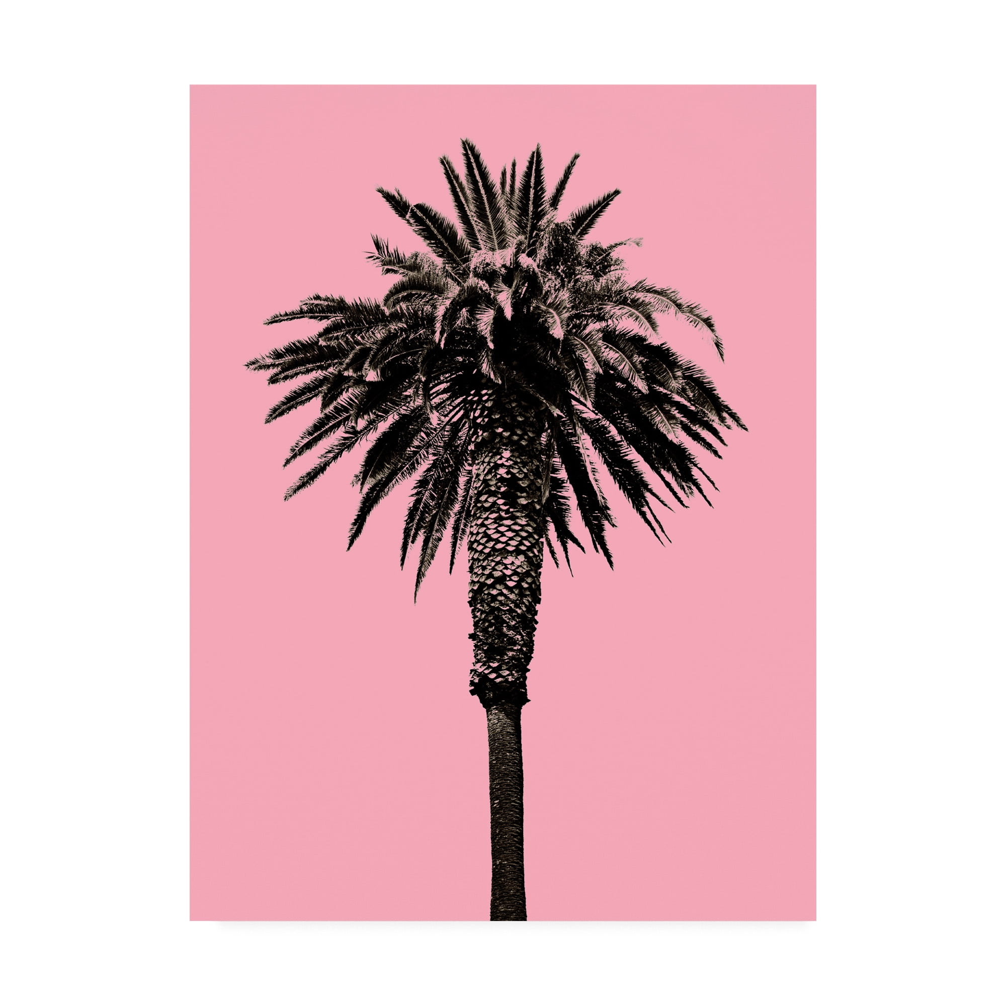 Trademark Fine Art 'Palm Tree 1996 (Pink)' Canvas Art by Erik Asl ...