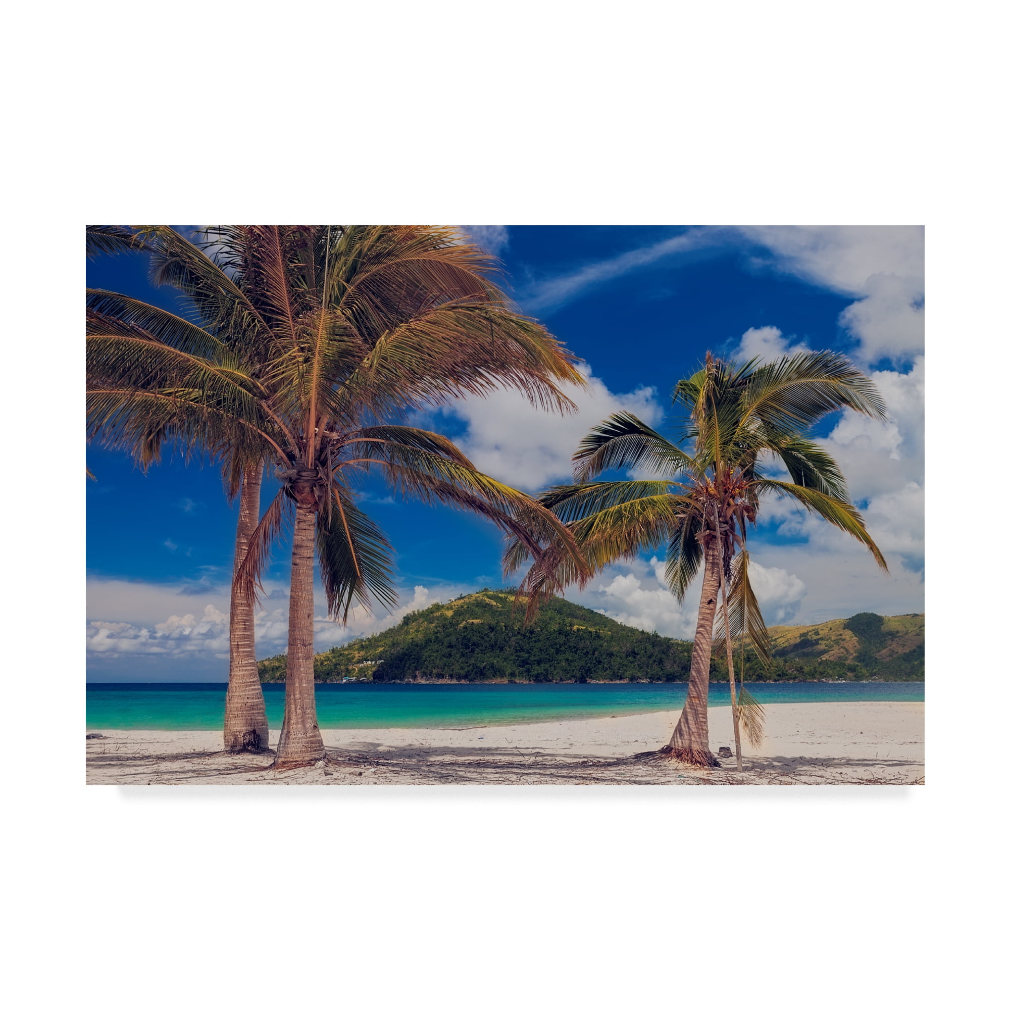 Trademark Fine Art 'Palm Trees Landscape' Canvas Art by Jason Matias ...
