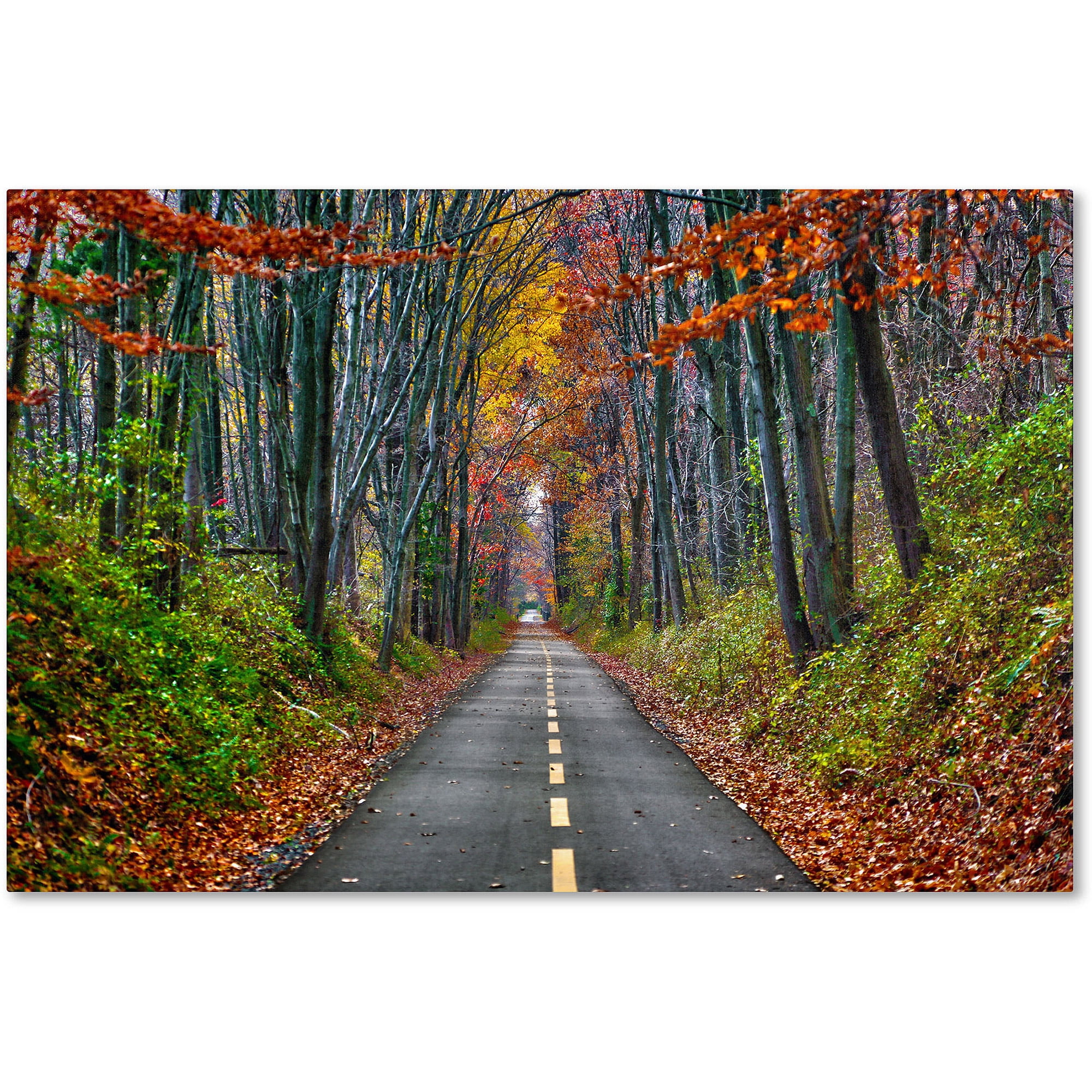 Trademark Fine Art "Paths" Canvas Art by CATeyes - Walmart.com