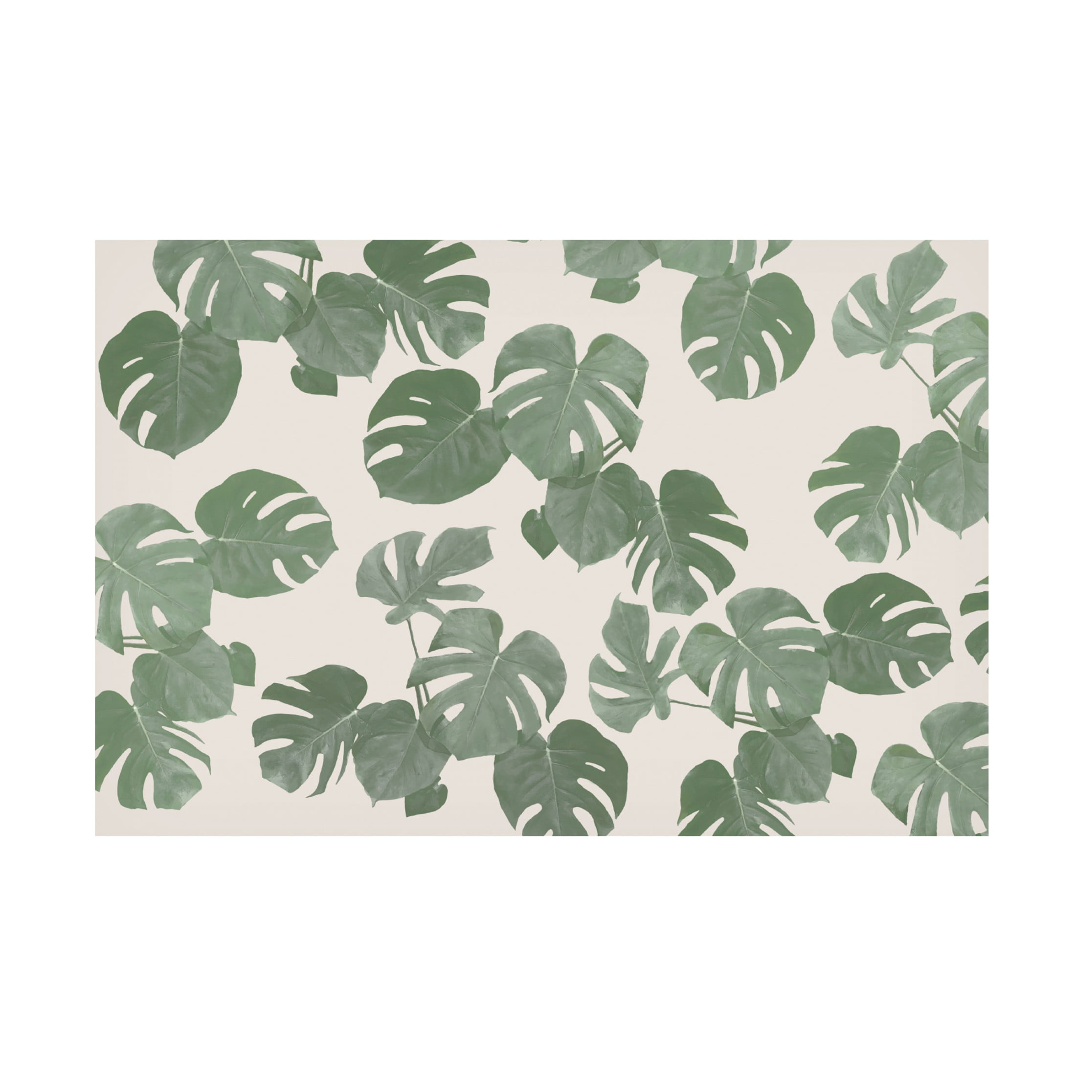 Trademark Fine Art Pictufy Studio II Monstera Leaves Canvas Wall Art ...