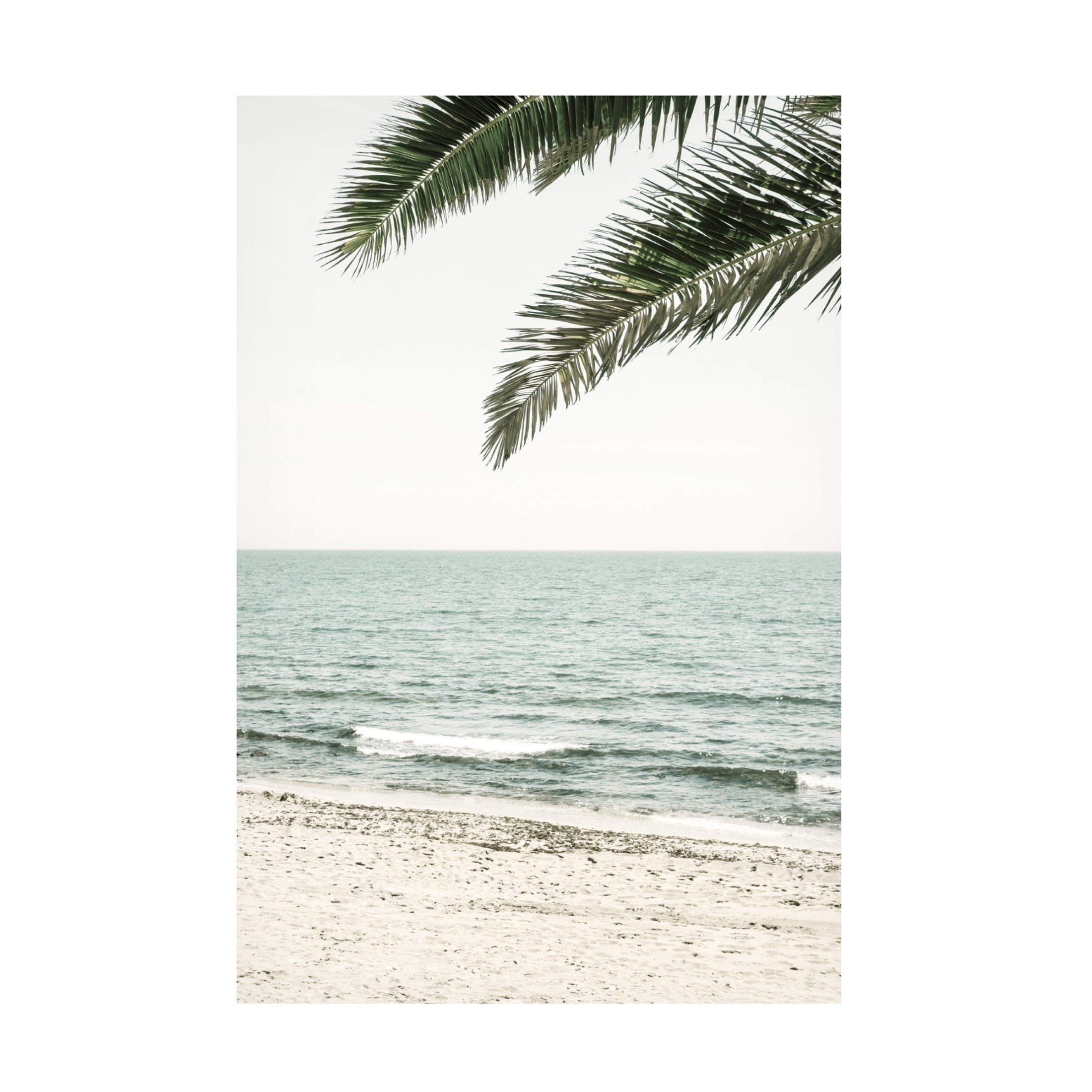 Trademark Fine Art Pictufy Studio III Solaris 03 Canvas Wall Art ...