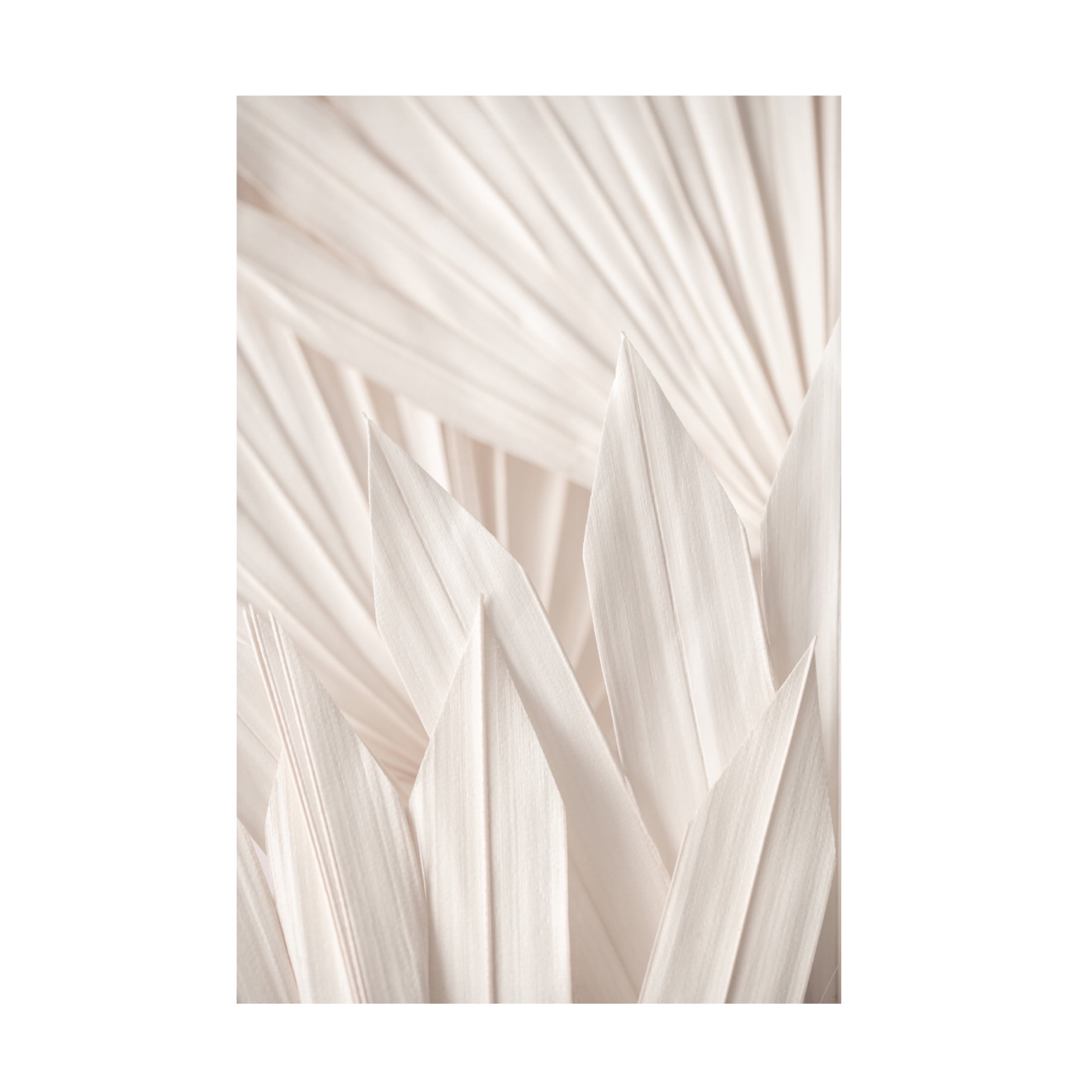 Trademark Fine Art Pictufy Studio Pattern Canvas Wall Art - Walmart.com