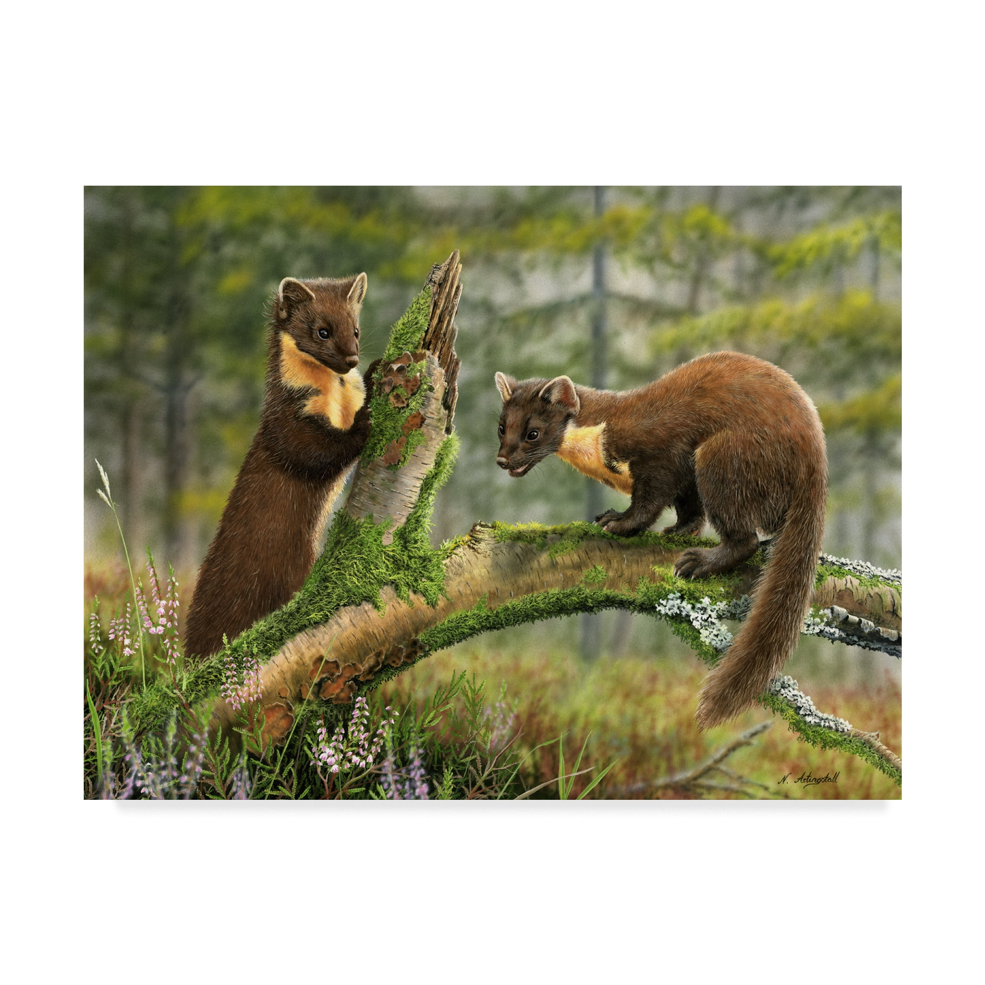 Trademark Fine Art Pine Martens Canvas Art - Walmart.com