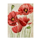 Trademark Fine Art 'Poised Poppy I' Canvas Art by Grace Popp - Walmart.com