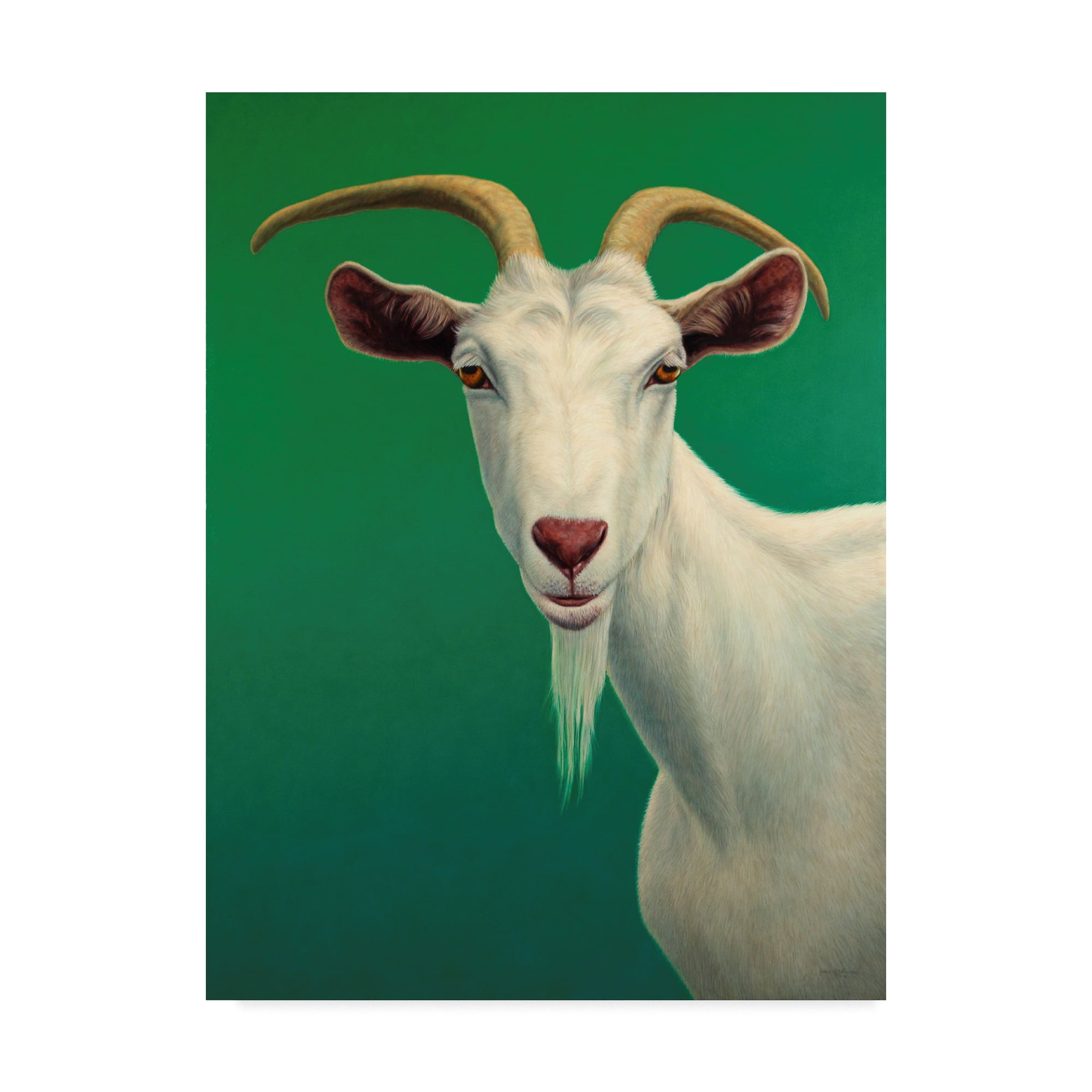 Free Shipping! Trademark Fine Art Portrait Of A Goat Canvas Art by ...