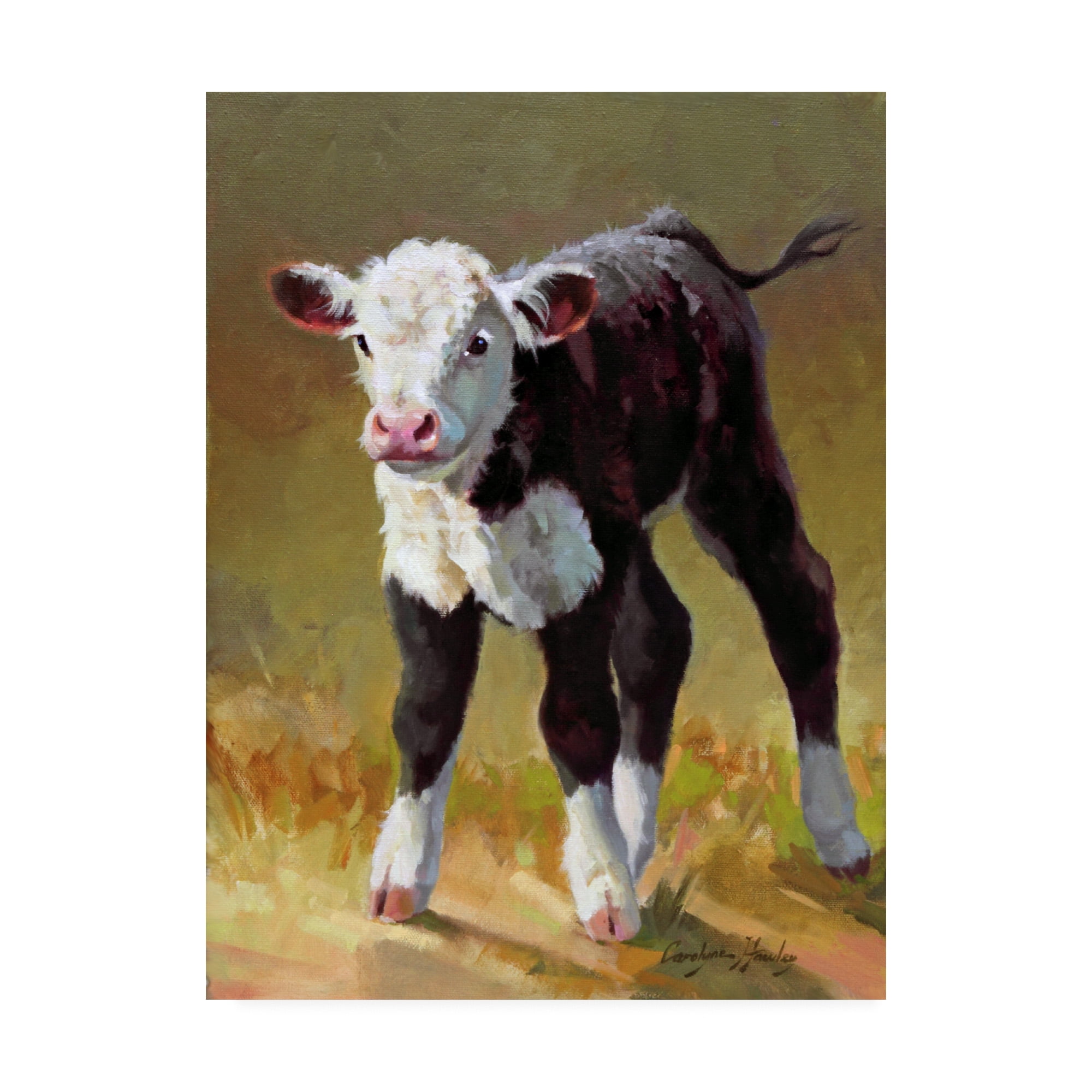 Trademark Fine Art 'Princess Cow' Canvas Art by Carolyne Hawley ...
