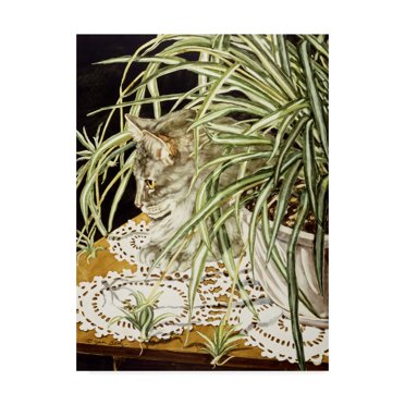 Trademark Fine Art 'February Pleasures' Canvas Art by Jan Benz ...