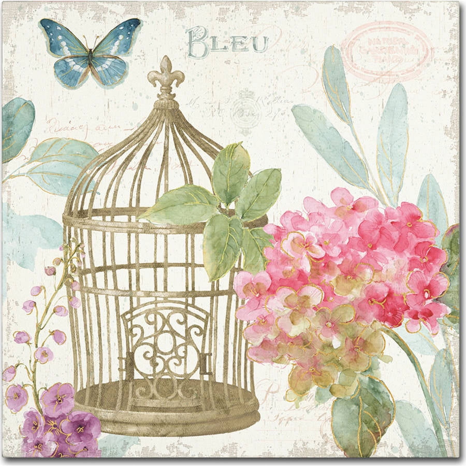 Trademark Fine Art "Rainbow Seeds Floral Birdcage II v2" Canvas Art by ...