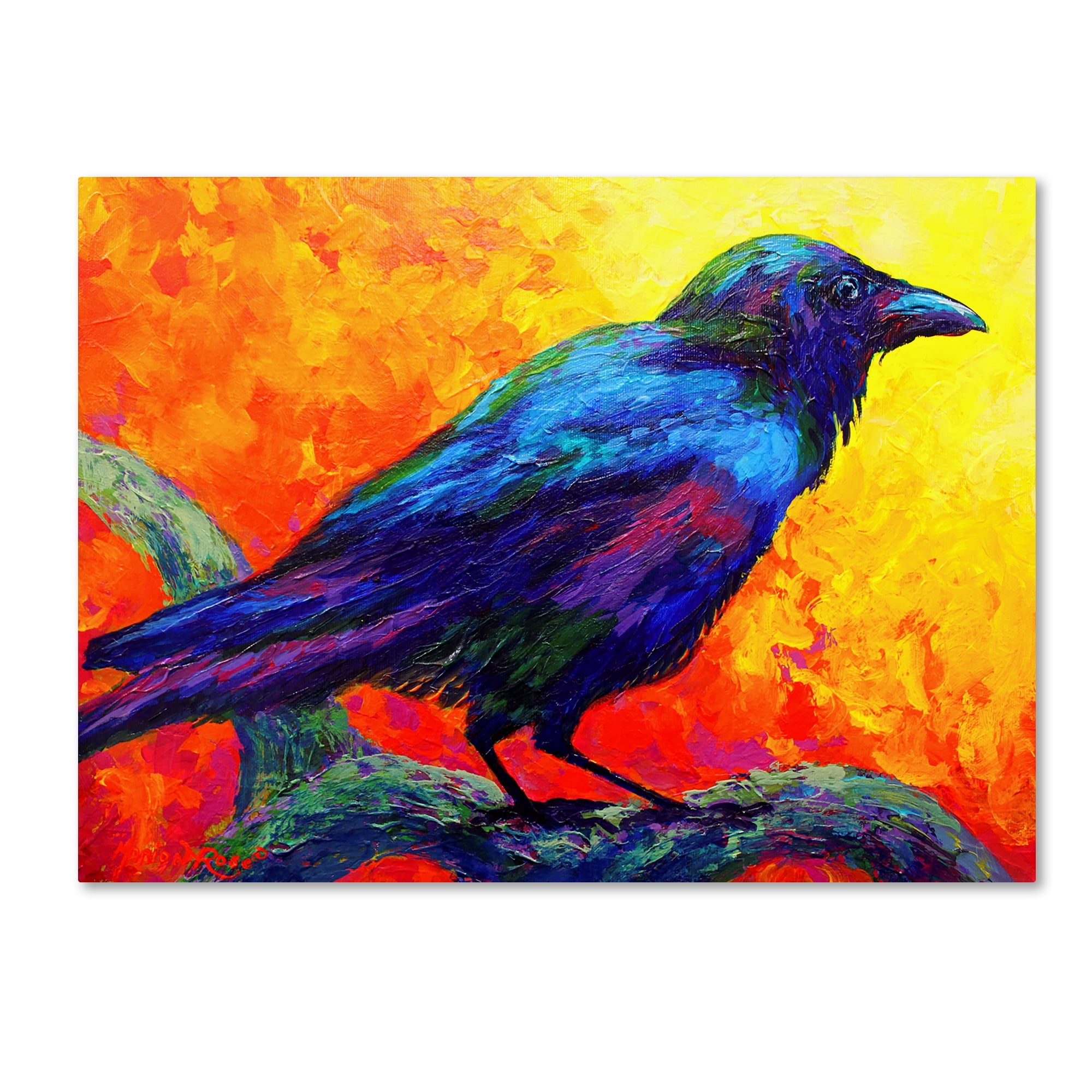 Trademark Fine Art 'Raven 1' Canvas Art by Marion Rose - Walmart.com