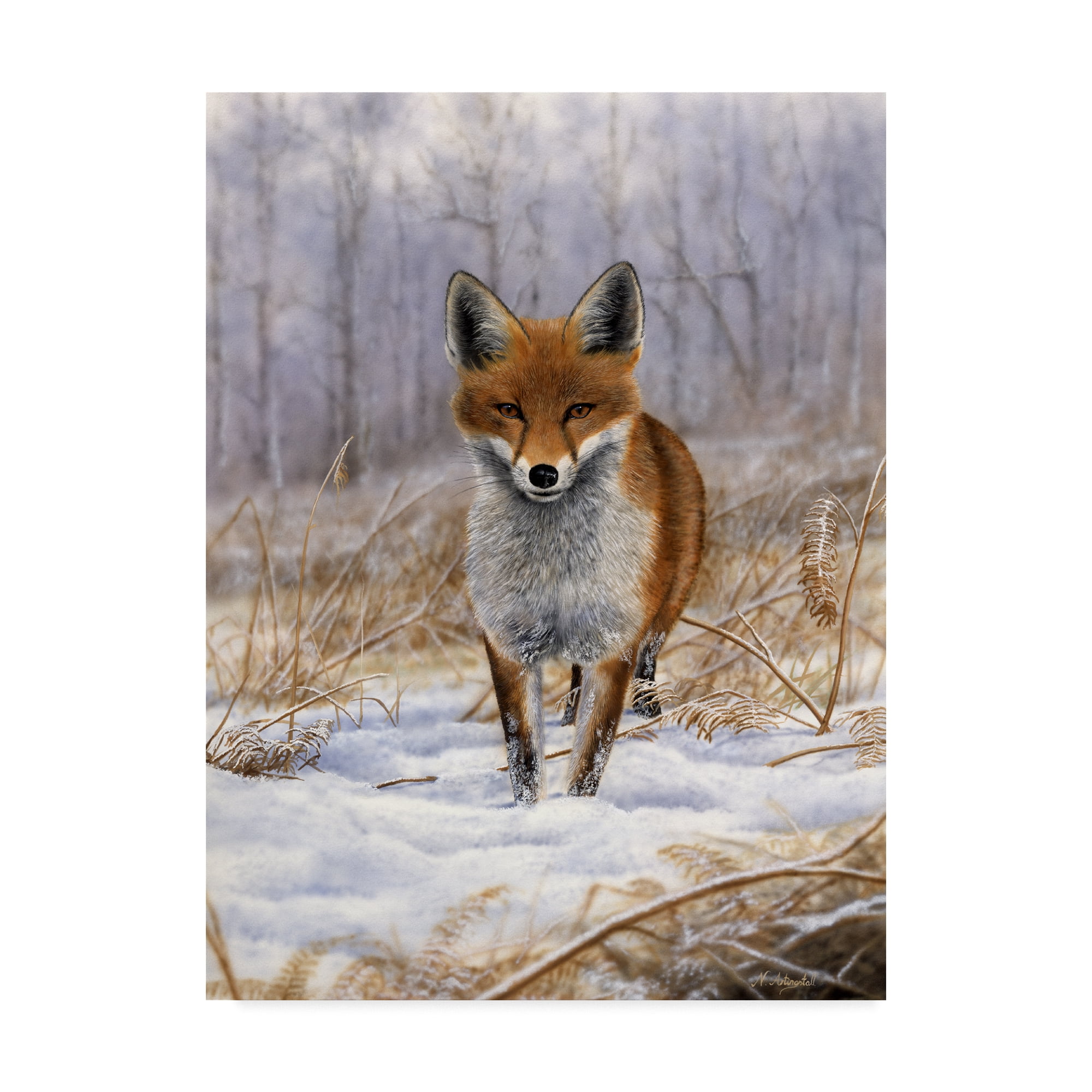 Trademark Fine Art 'Red Fox Center' Canvas Art by Nigel Artingstall ...