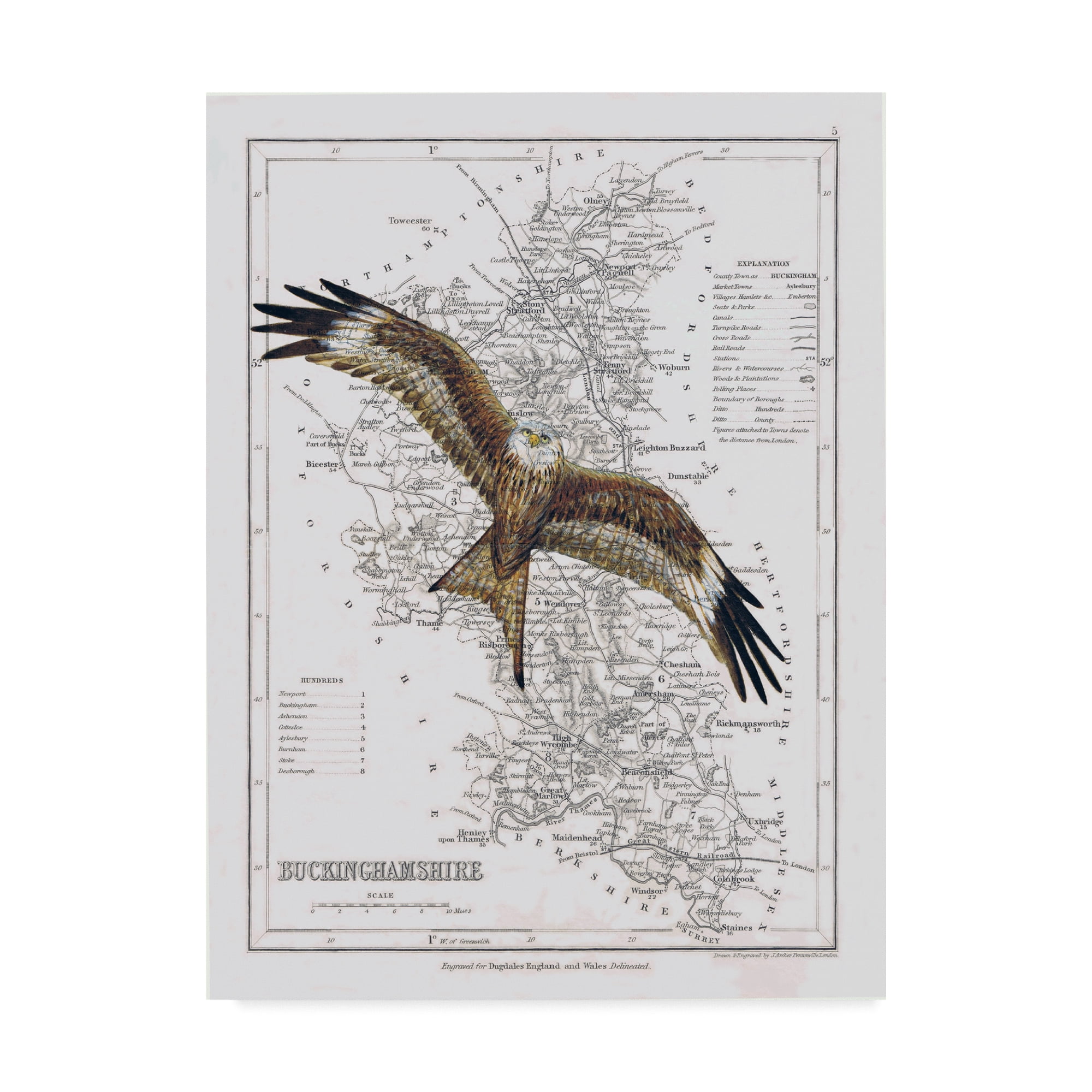 Trademark Fine Art 'Red Kite' Canvas Art by Jane Wilson - Walmart.com
