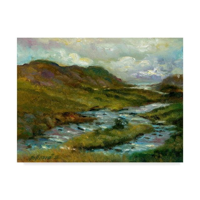 Trademark Fine Art 'Ring Of Kerry, Ireland 2' Canvas Art by Hall Groat ...
