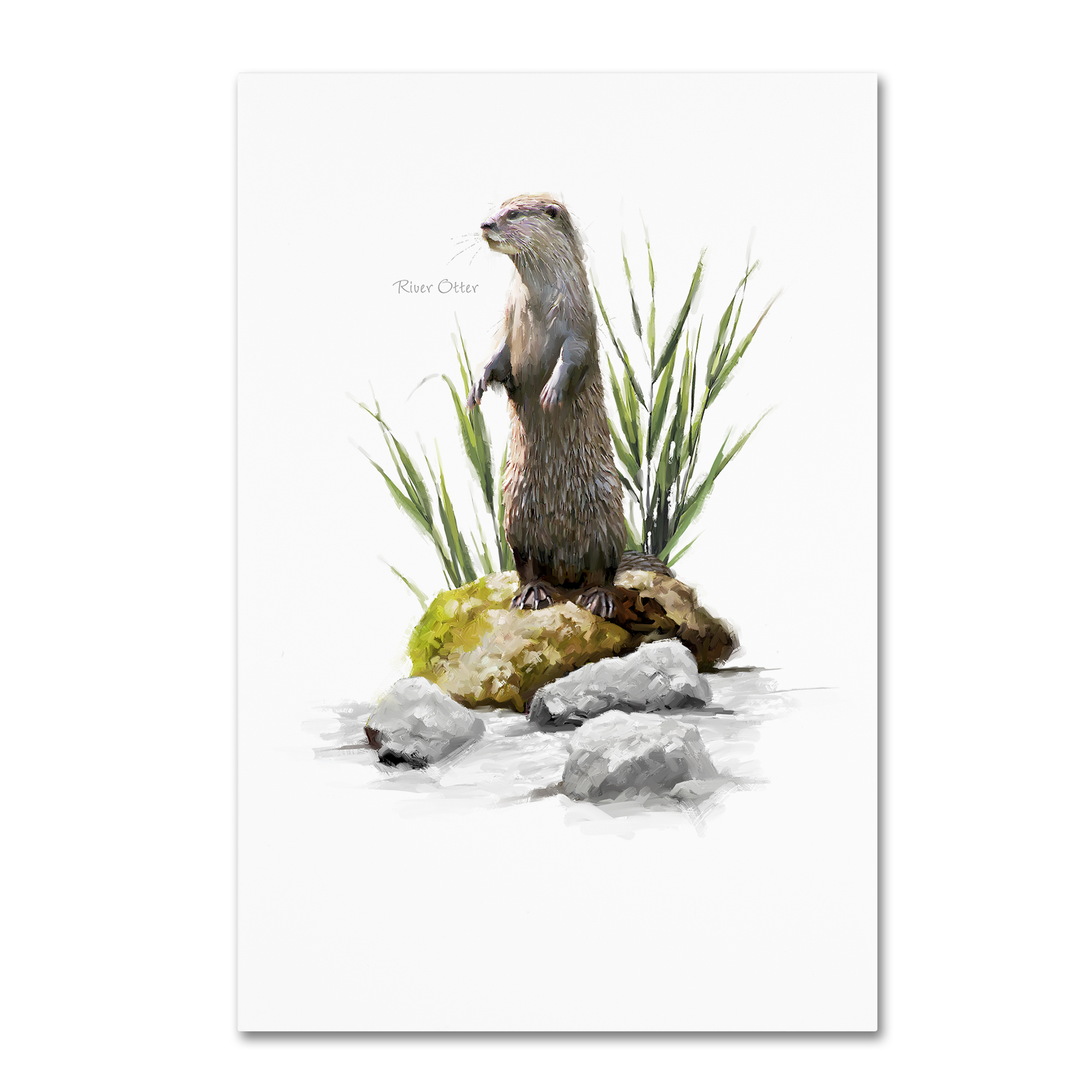 Trademark Fine Art 'River Otter' Canvas Art by The Macneil Studio ...