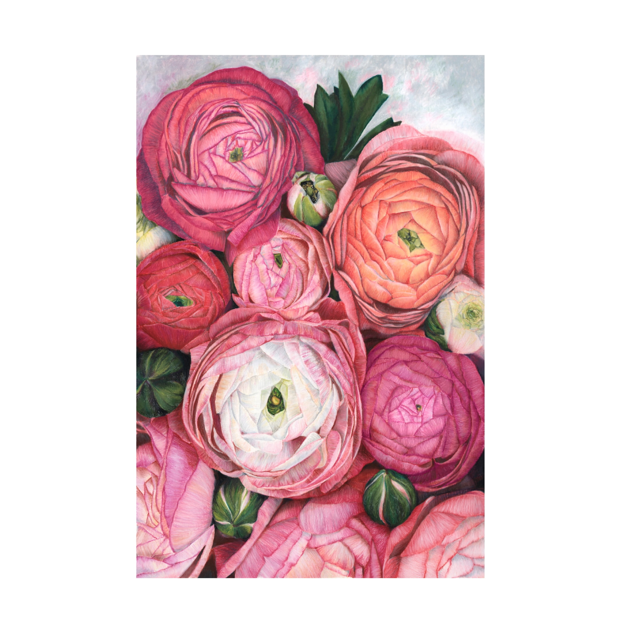 Trademark Fine Art Rosana Laiz Blursbyai Arleth ranunculus bouquet in ...
