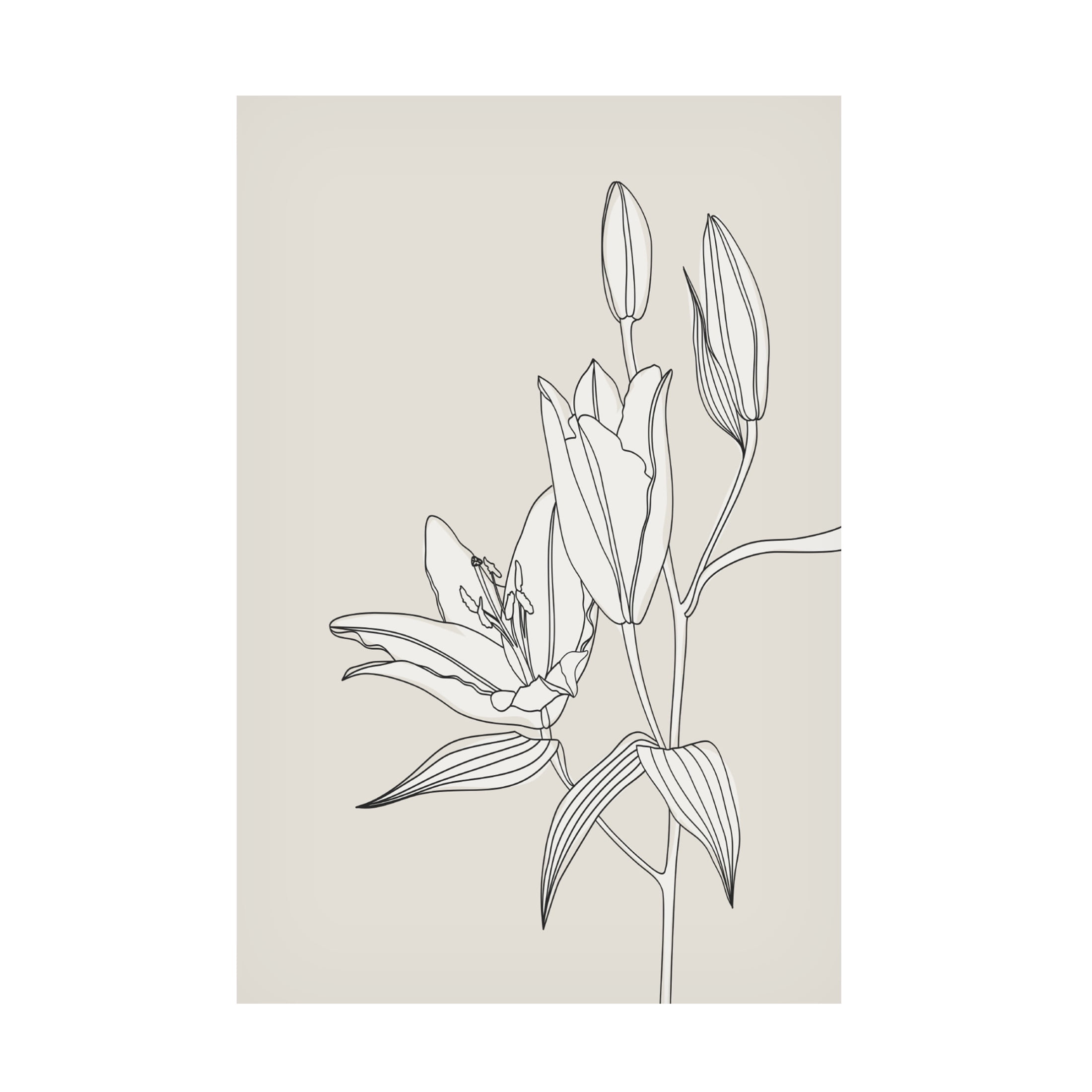 Trademark Fine Art Rosana Laiz Blursbyai Line art lillies in beige ...