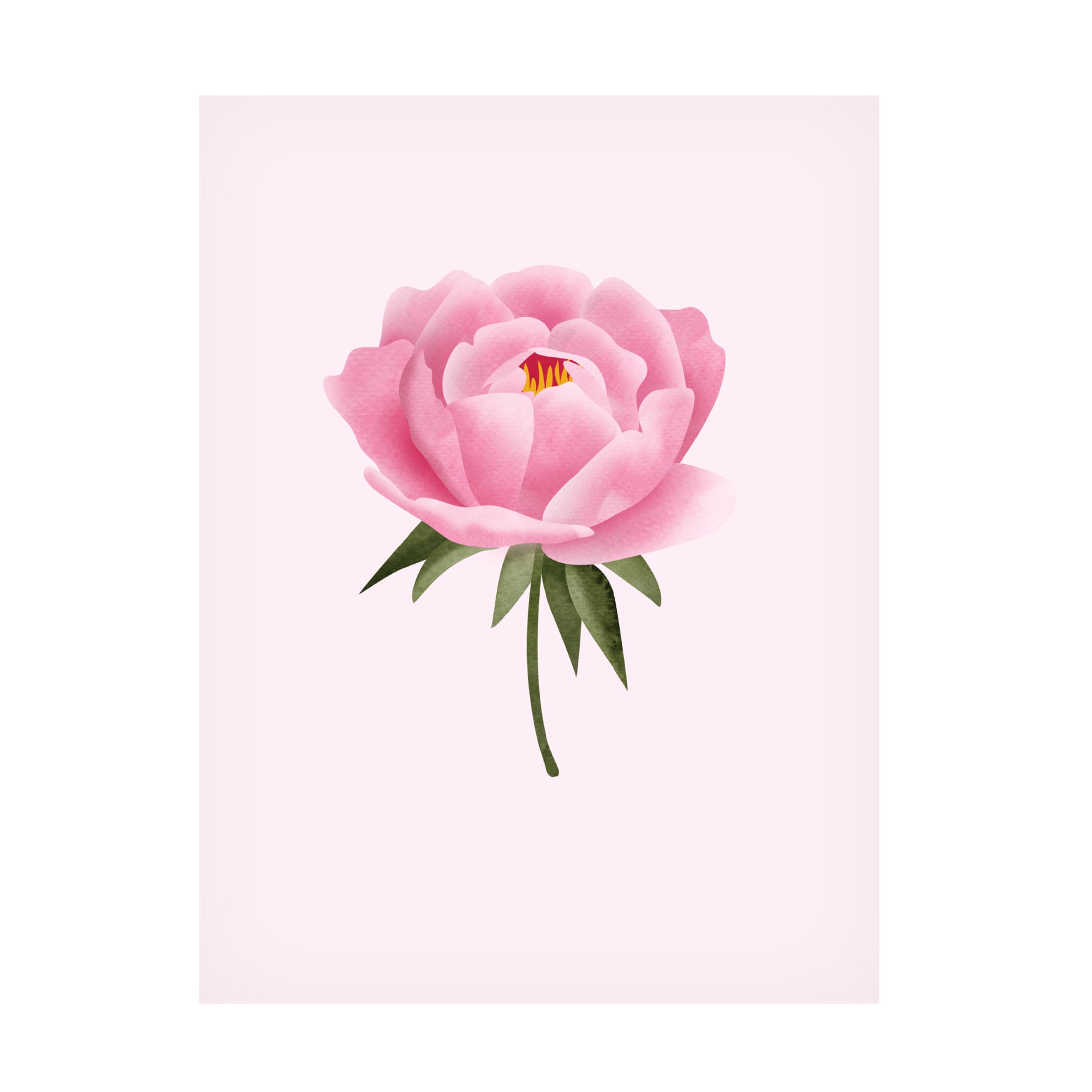 Trademark Fine Art Rosana Laiz Blursbyai Peony statement Canvas Wall ...