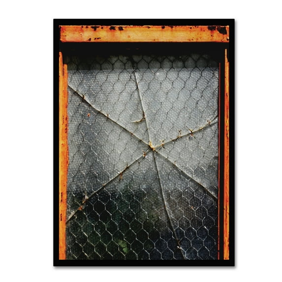 Trademark Fine Art 'Rust & Broken Glass' Canvas Art by Patty Tuggle ...