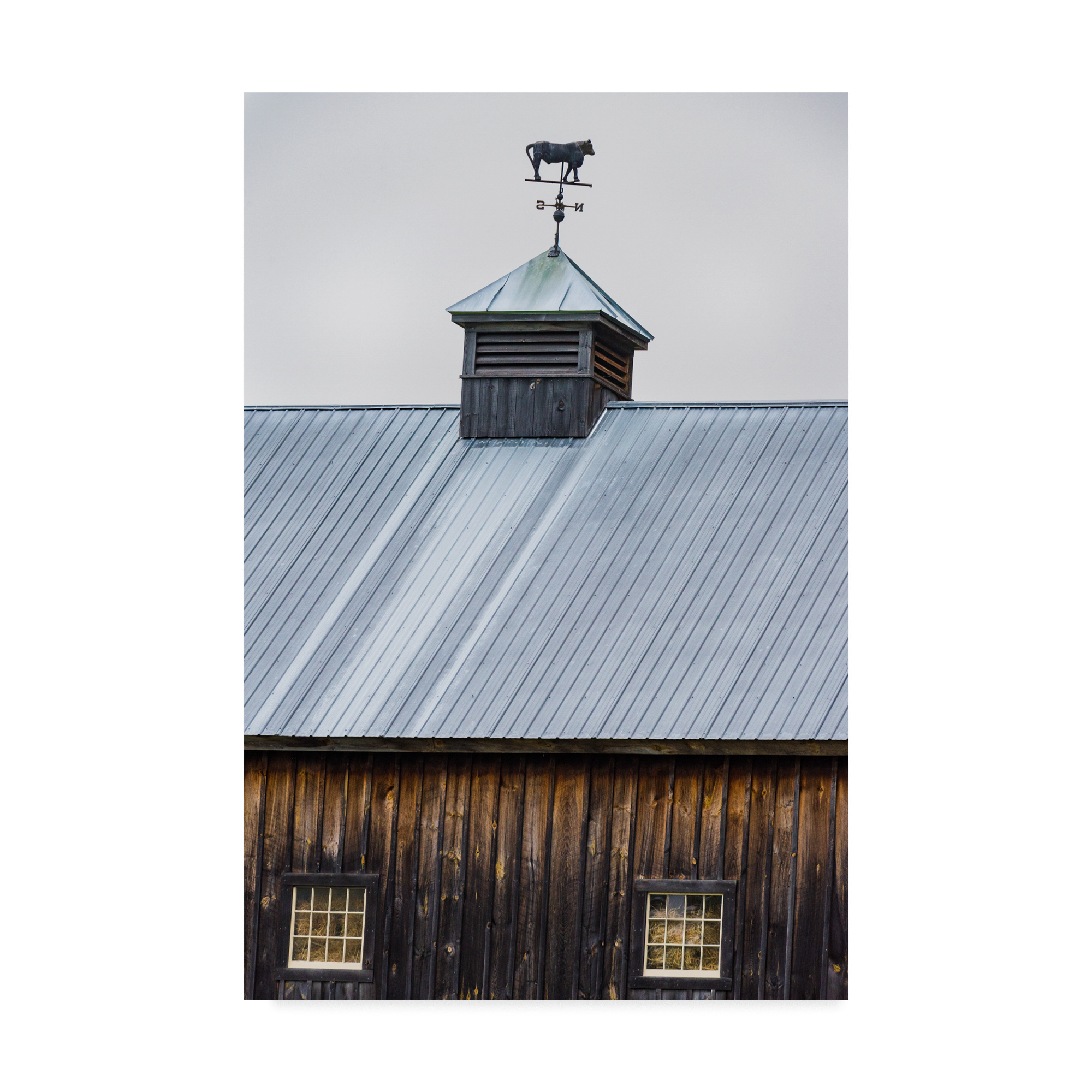 Trademark Fine Art 'Rustic Weathervane' Canvas Art by Brenda Petrella ...