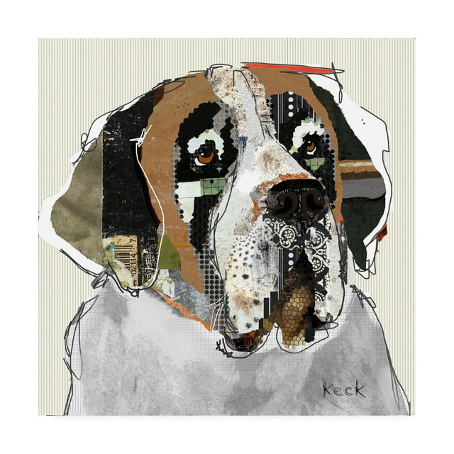 Trademark Fine Art 'Saint Bernard Abstract' Canvas Art by Michel Keck ...