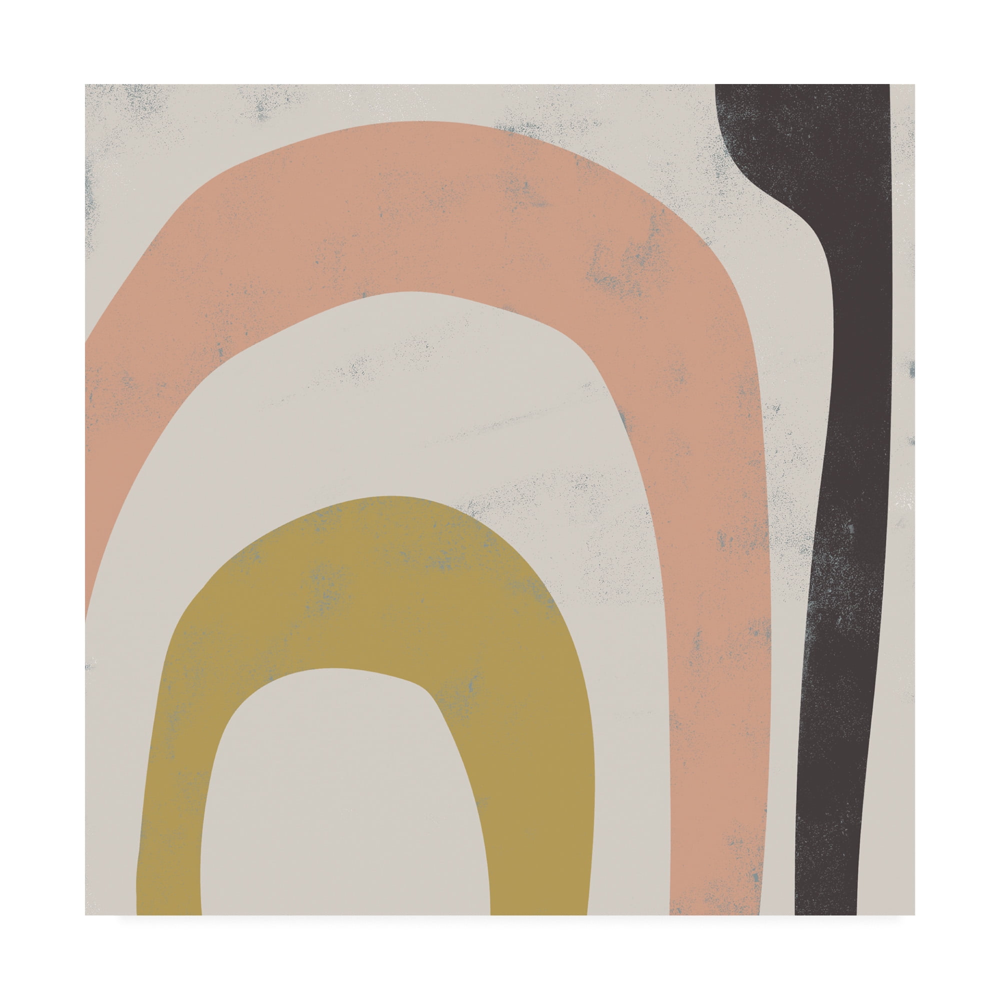 Trademark Fine Art 'Sass II' Canvas Art by Chariklia Zarris - Walmart.com