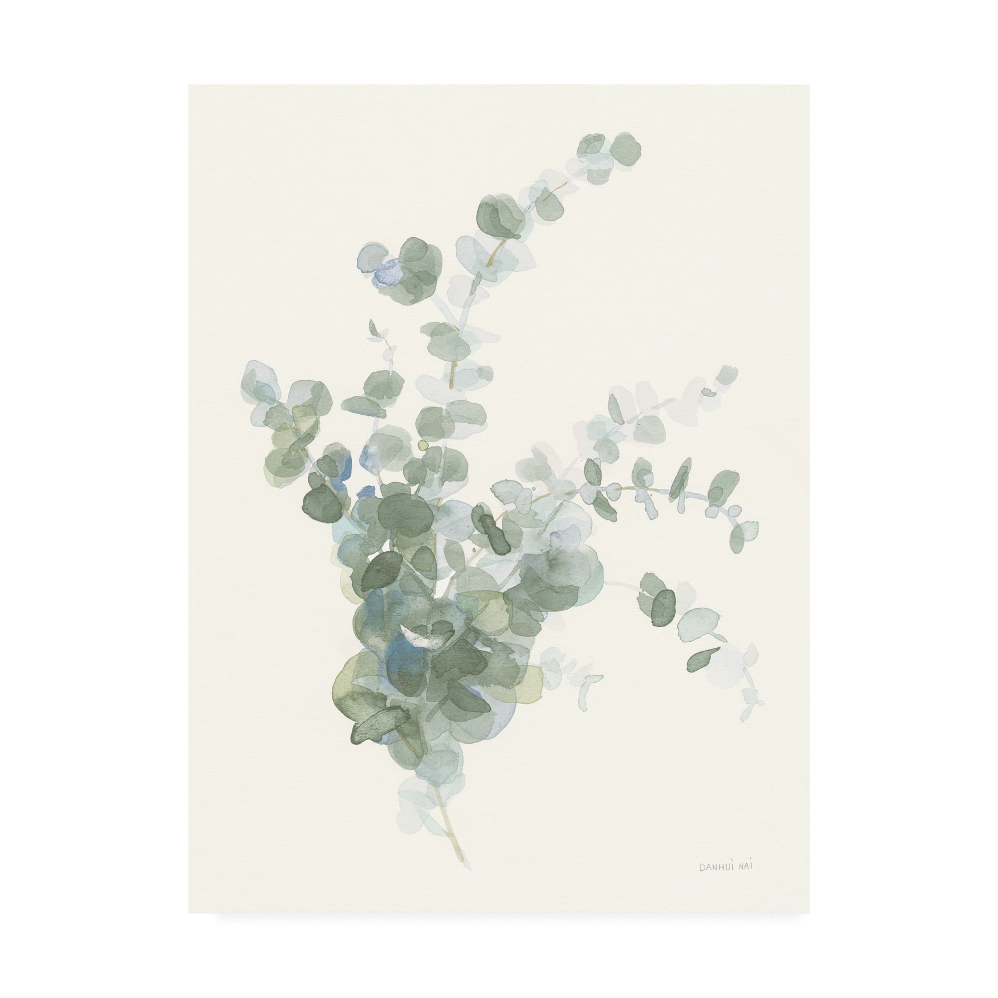 Trademark Fine Art 'Scented Sprig II Cool' Canvas Art by Danhui Nai ...