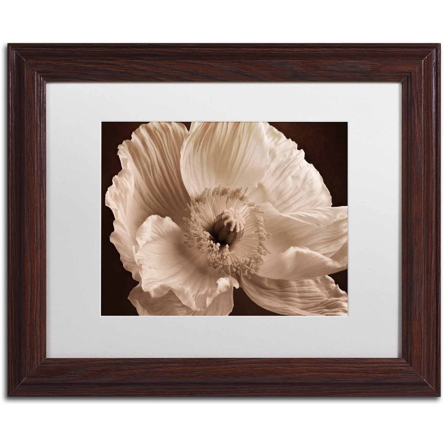 Trademark Fine Art 'Sepia Poppy I' Canvas Art by Cora Niele, White ...