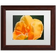 Trademark Fine Art "Lehua" Canvas Art by Monica Fleet, White Matte ...