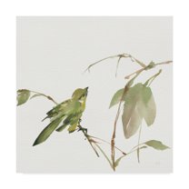 Trademark Fine Art 'Mehbot' Canvas Art by Craig Snodgrass - Walmart.com