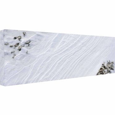 Trademark Fine Art "Healing Tulips" Canvas Art by Kurt Shaffer ...