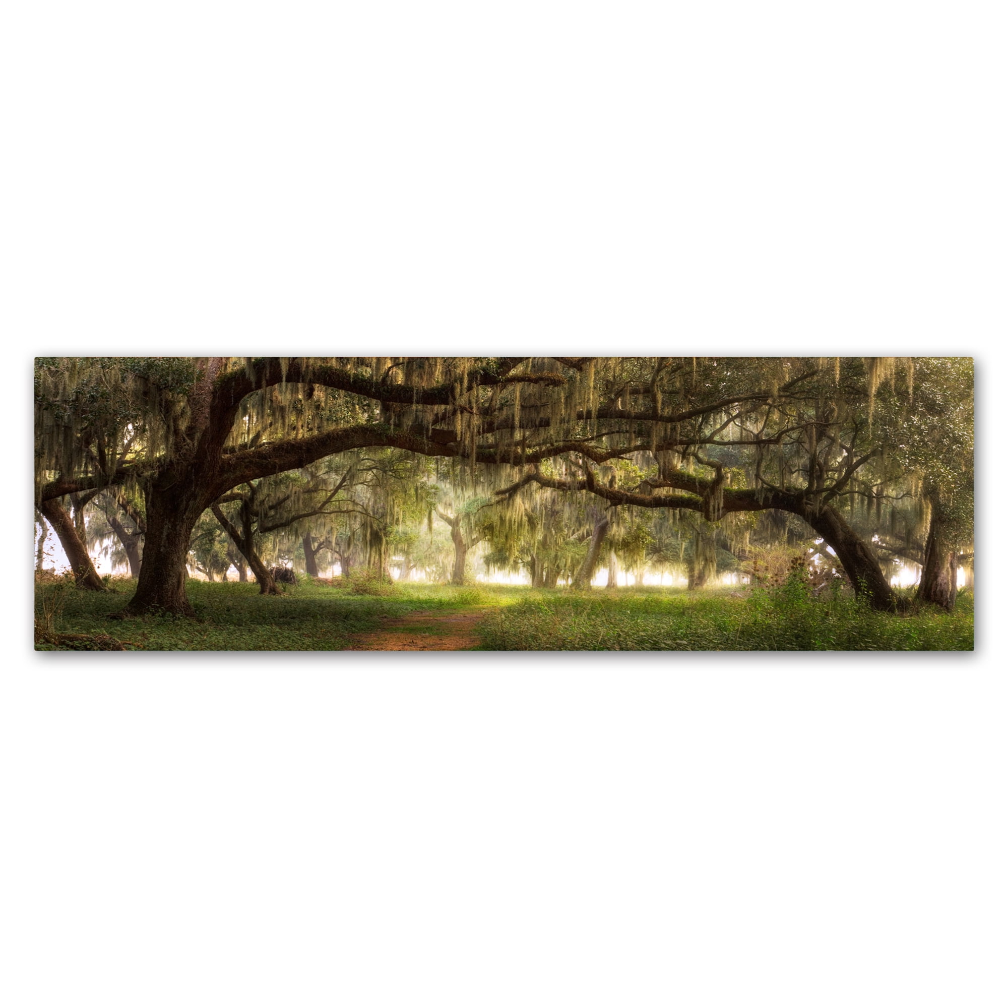 Trademark Fine Art 'Southern Charm' Canvas Art by Doug Cavanah ...