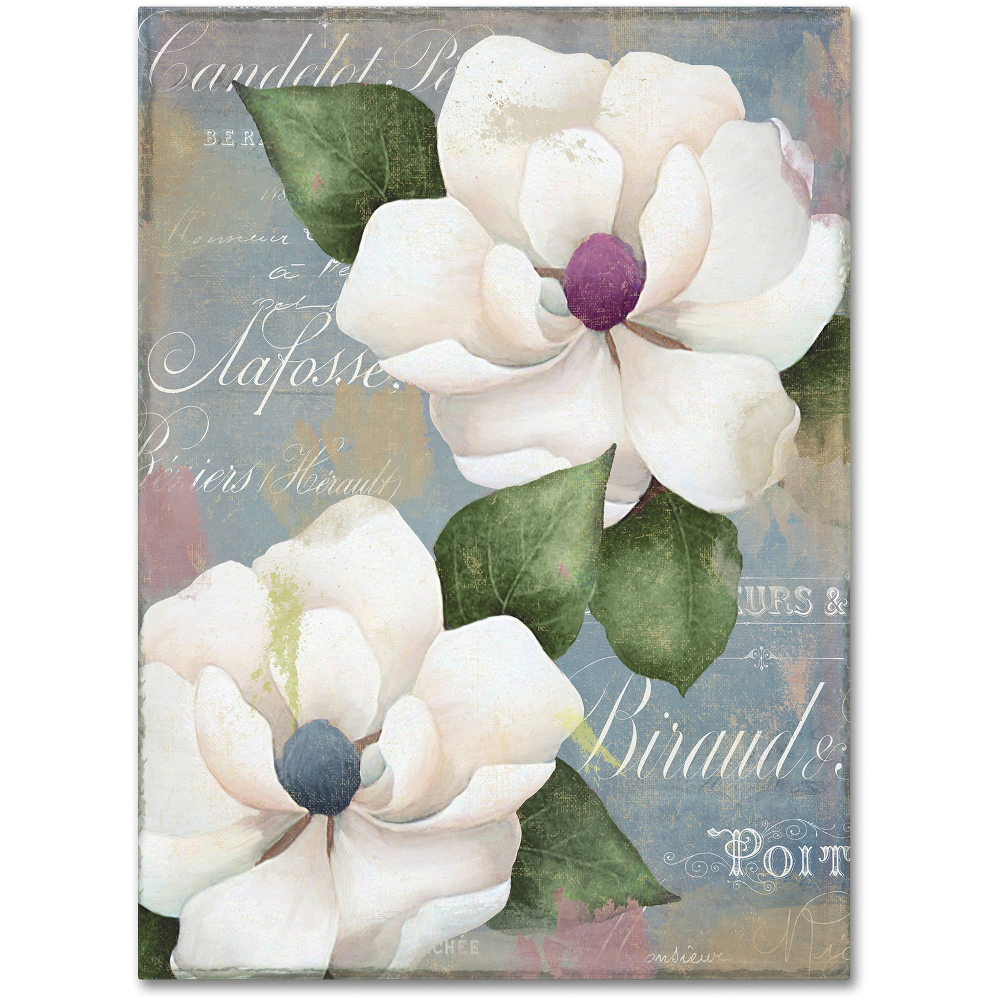 Trademark Fine Art "Southern Charms" Canvas Art by Color Bakery ...