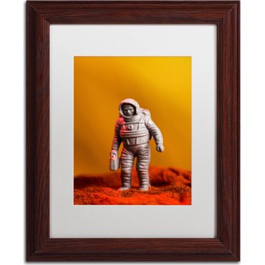 Trademark Fine Art "Cucumber Bloom" Canvas Art by Jason Shaffer, Black ...