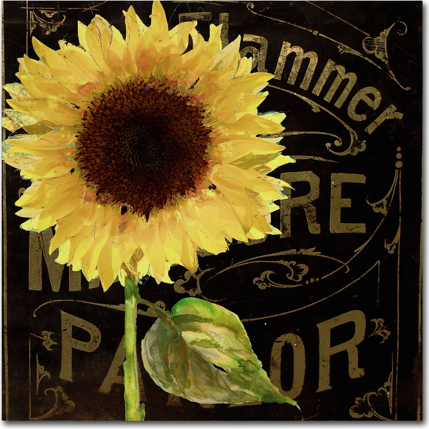 Trademark Fine Art "Sunflower Salon I" Canvas Art by Color Bakery ...