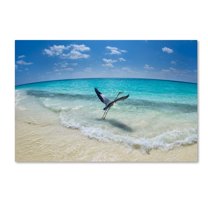 Trademark Fine Art 'A Rider' Canvas Art by Karl Bryullov - Walmart.com