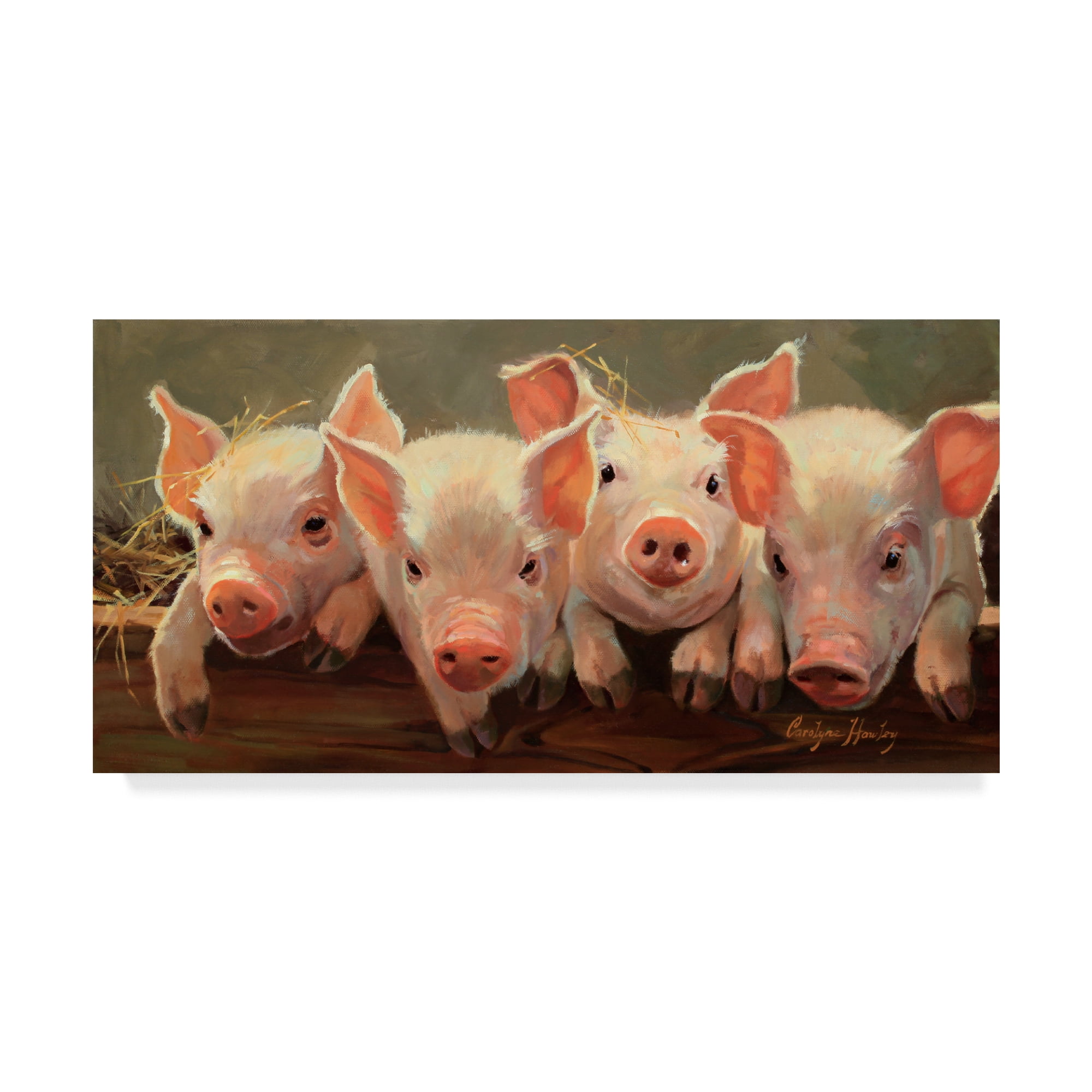 Trademark Fine Art 'The Big Squeeze' Canvas Art by Carolyne Hawley ...