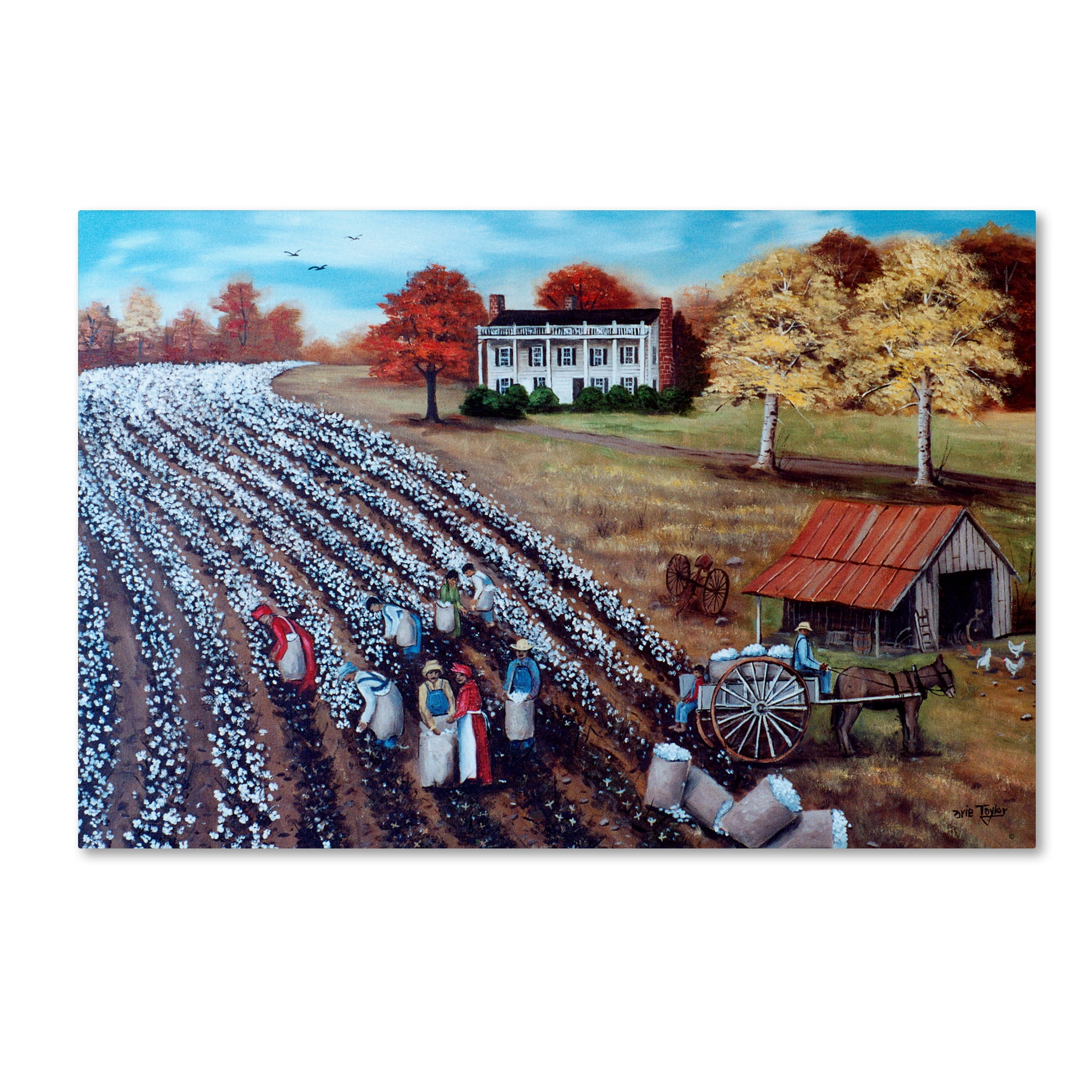 Trademark Fine Art 'The Lincoln Cotton Field' Canvas Art by Arie ...